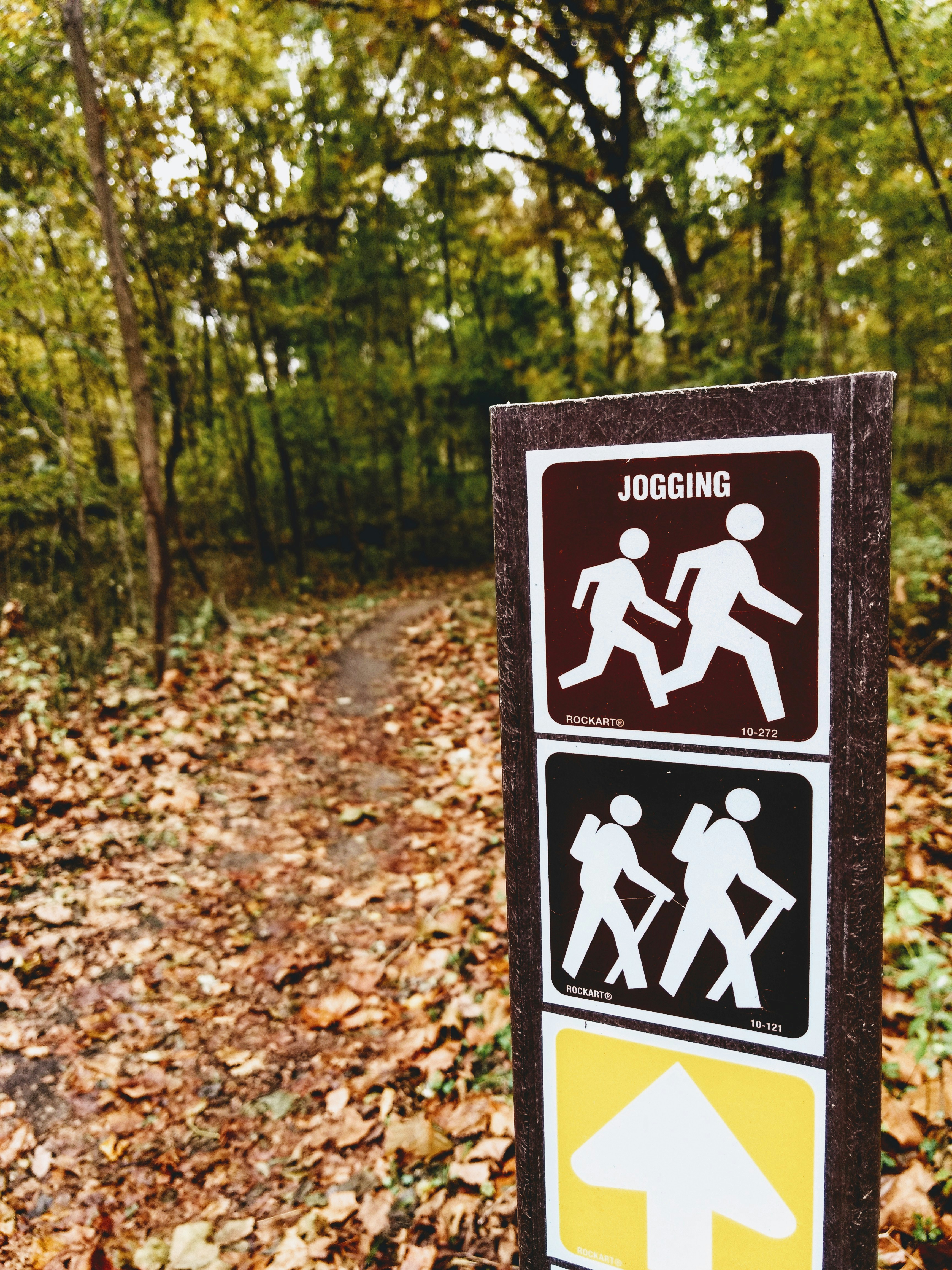 Trail sign amidst autumn leaves with forest path winding into the woods.
