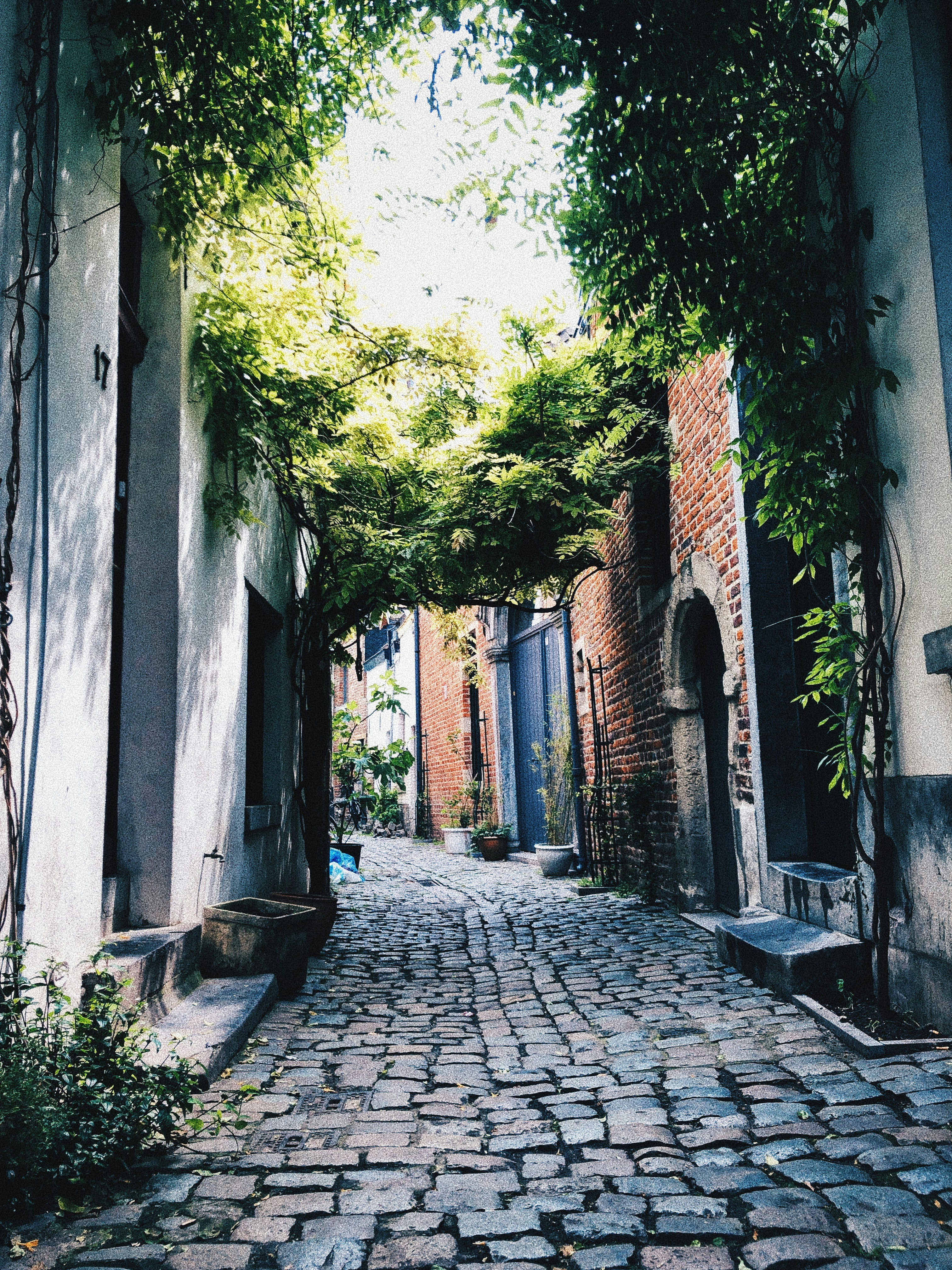 Empty pathway photo – Free Bruxelles Image on Unsplash