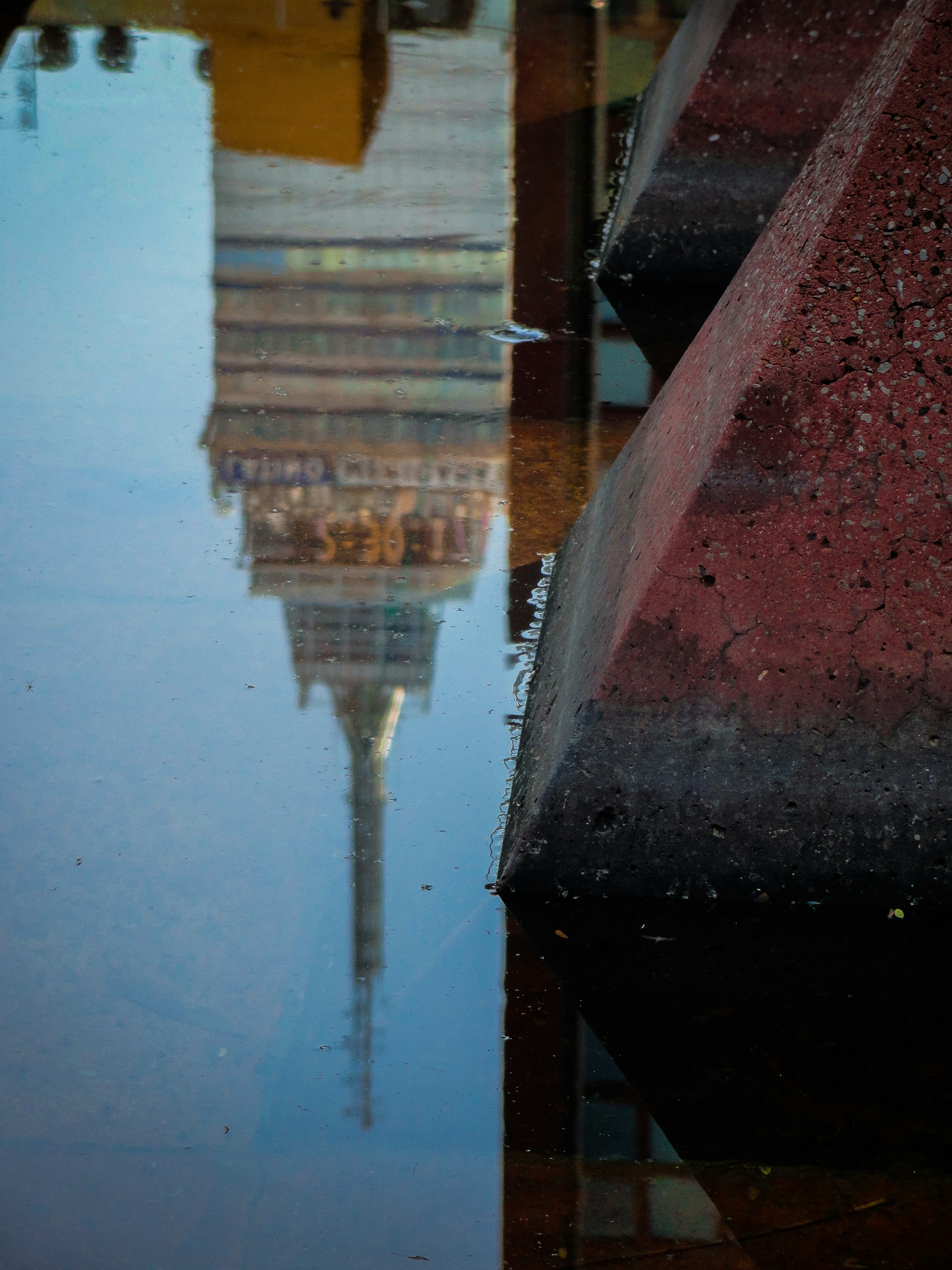 750+ Puddle Pictures | Download Free Images on Unsplash