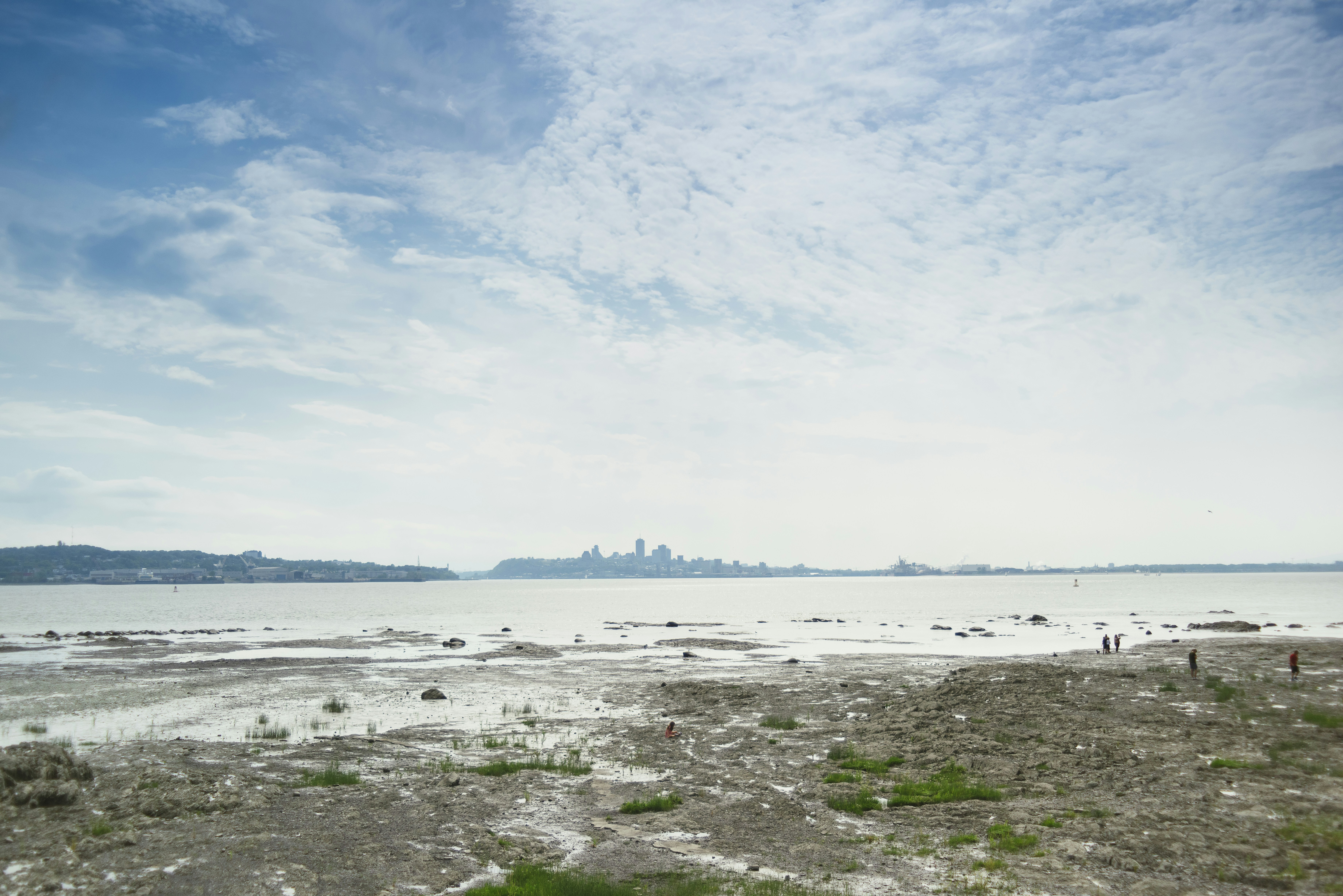 Distant Shoreline Serenade