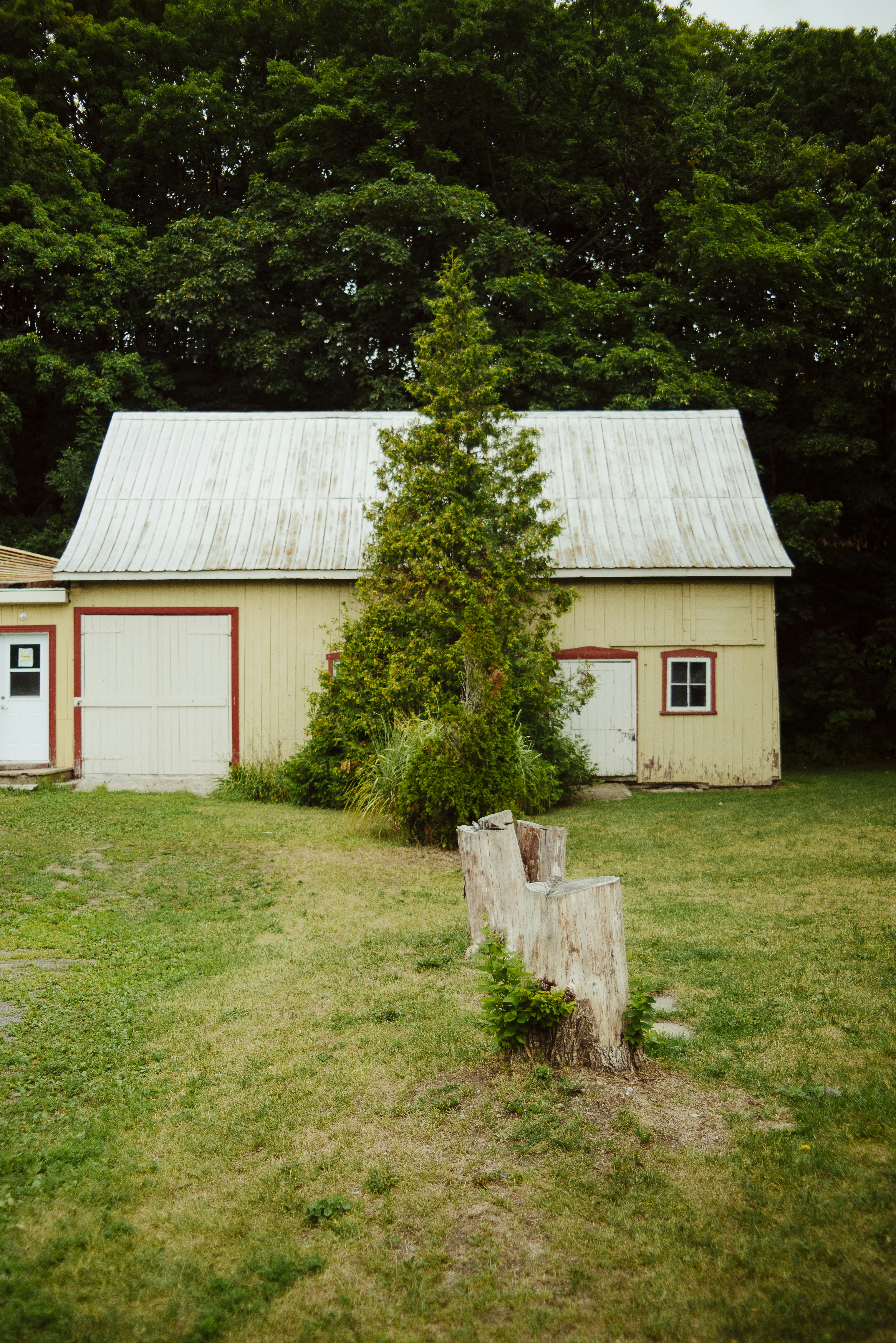 A quaint yellow barn nestled among lush greenery, with a wooden bench in the foreground, inviting moments of reflection.