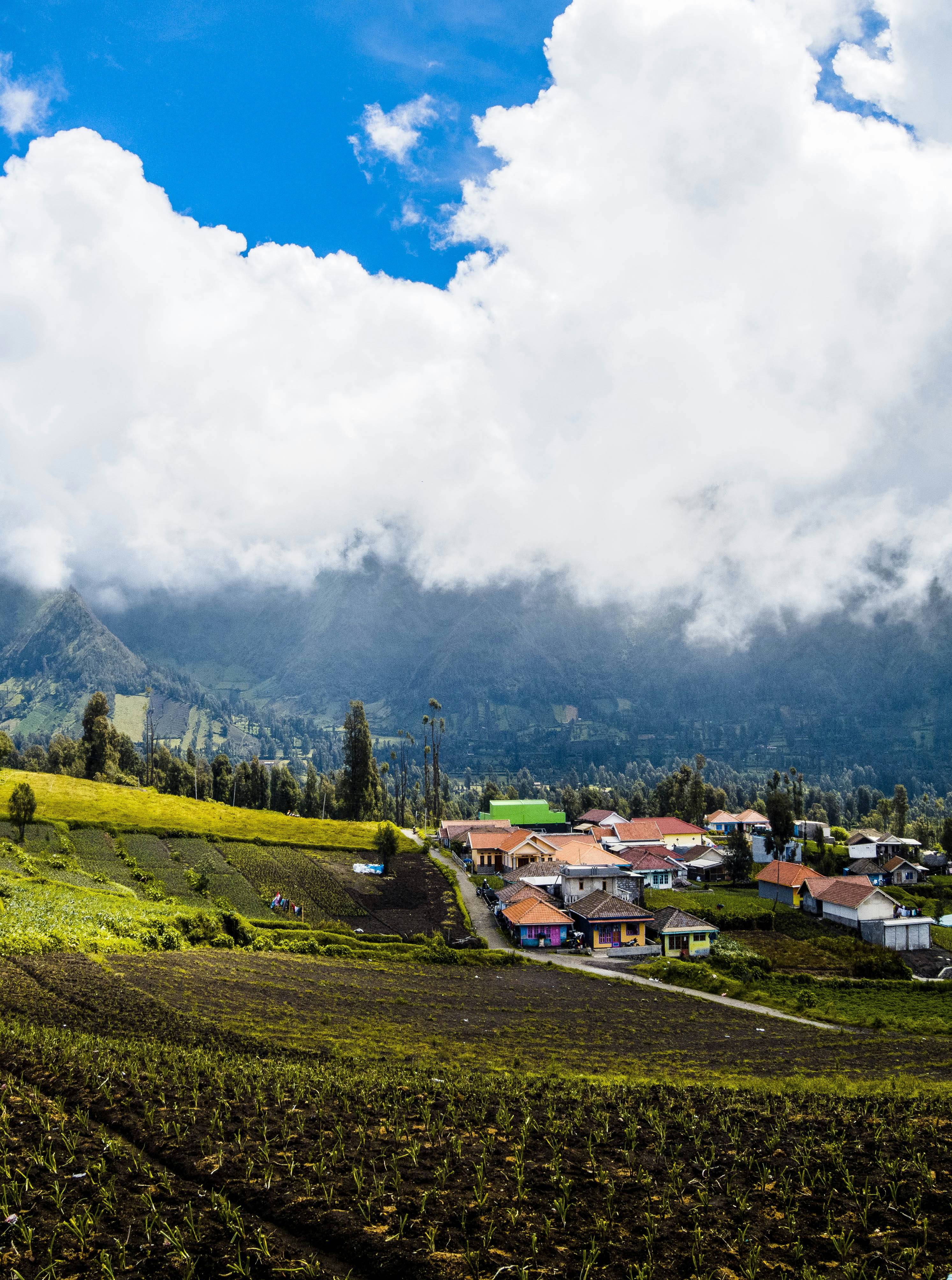 Scenic village nestled among lush green fields with dramatic clouds overhead.