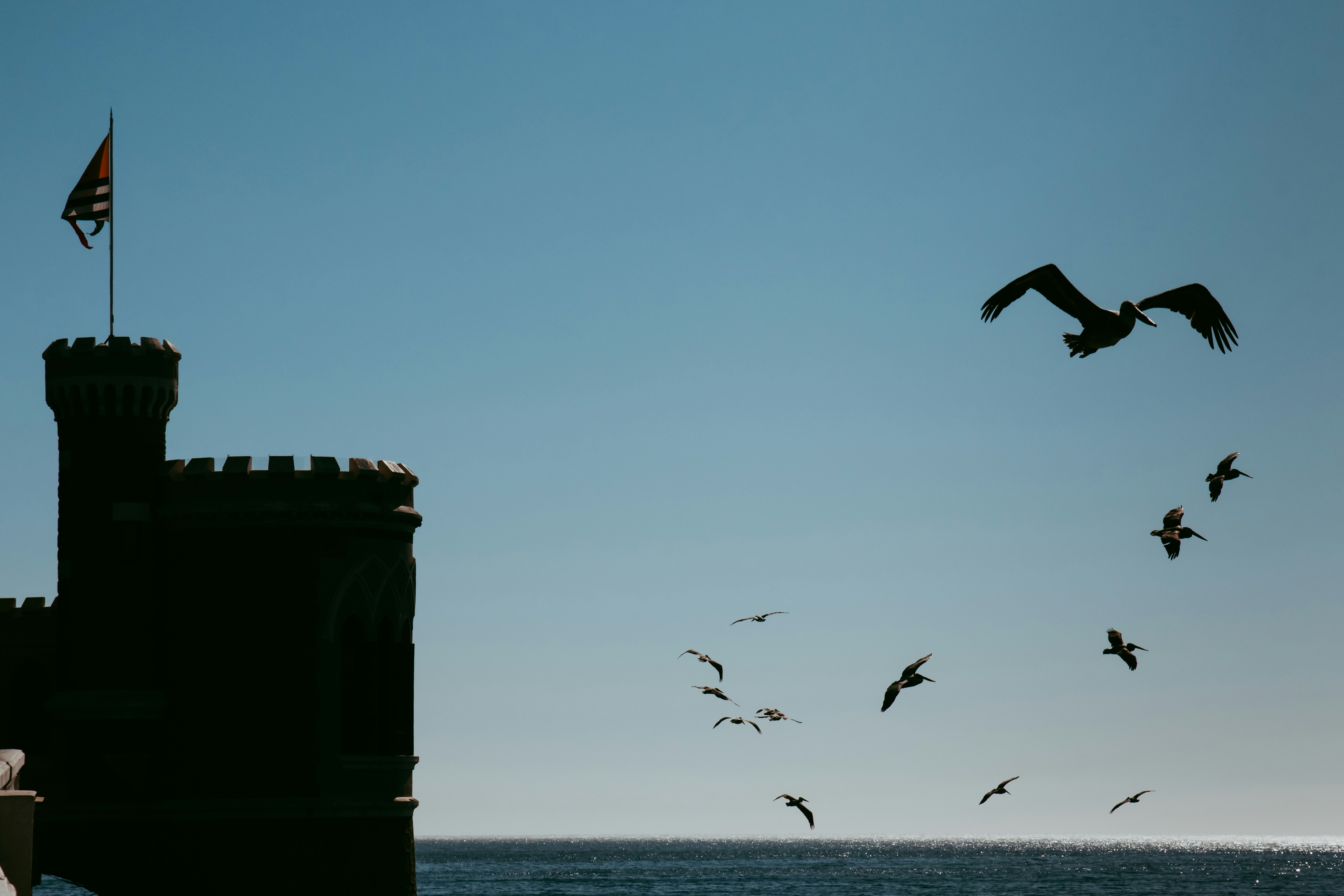 Silhouetted castle tower against a clear sky with birds soaring above the sea.
