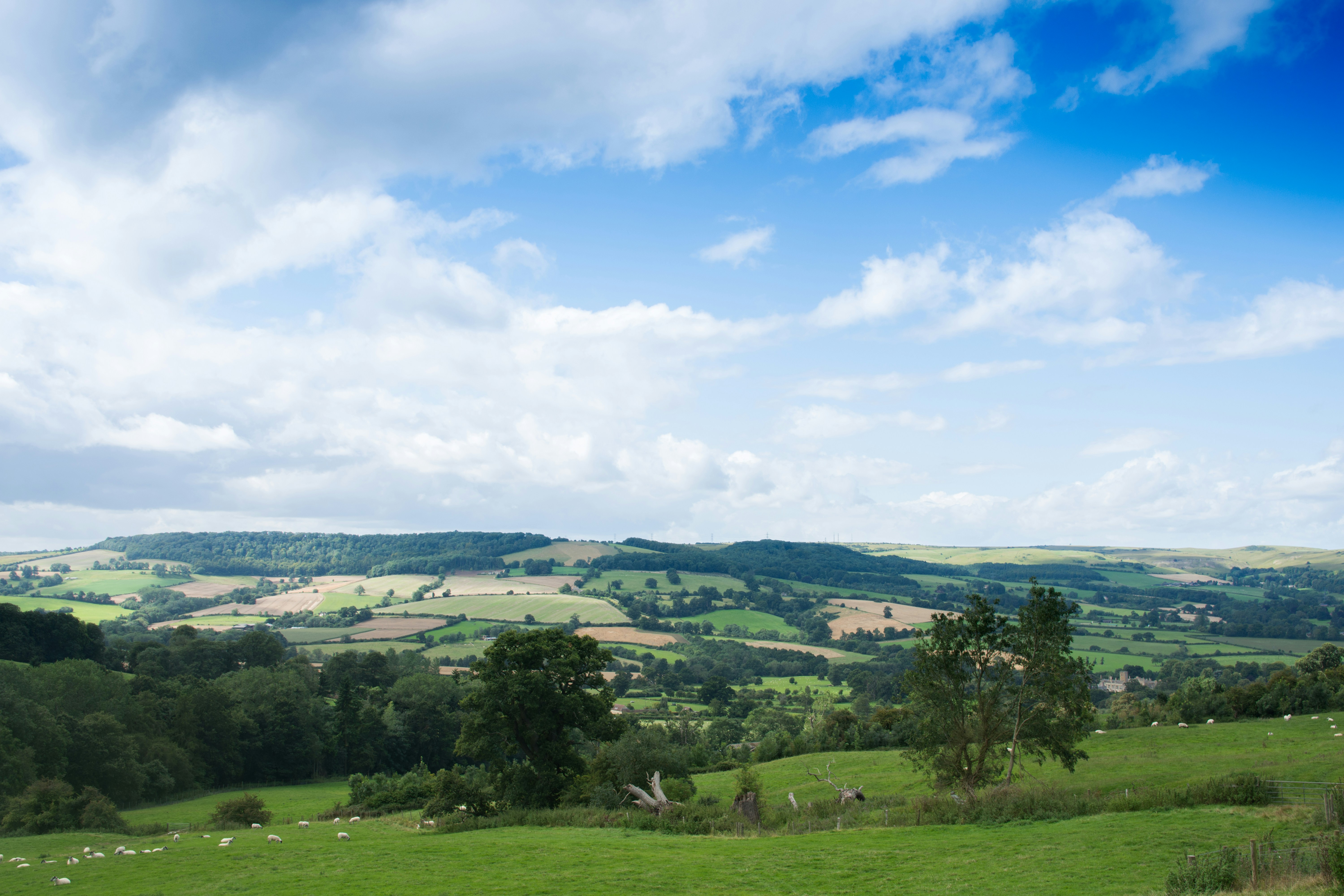 Expansive countryside landscape featuring rolling green hills and scattered trees under a dynamic sky. The scene captures the essence of rural tranquility.