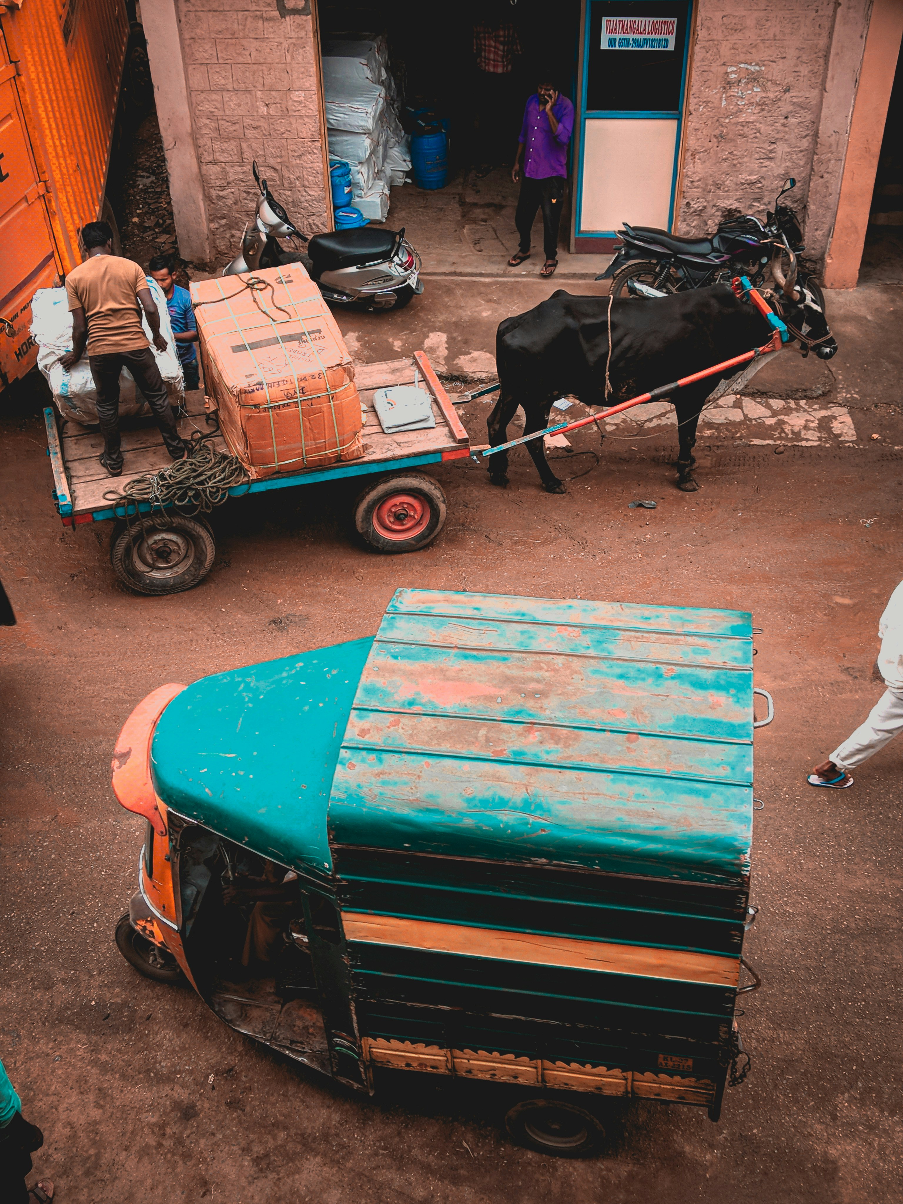 Dust and Drive: A Cattle-Drawn Cart Amid Daylight Traffic