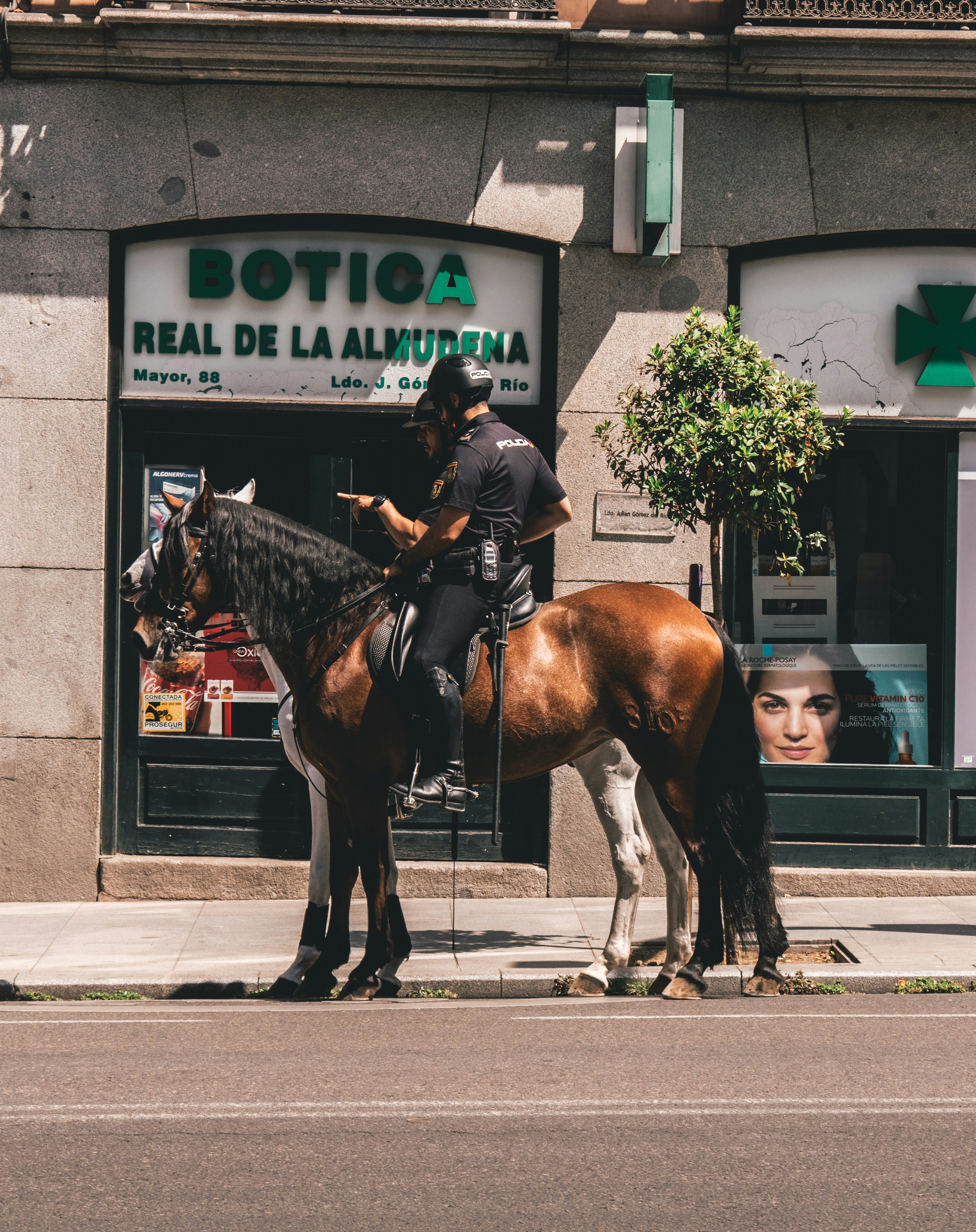Close-up photography of man riding horse photo – Free Animal Image on ...