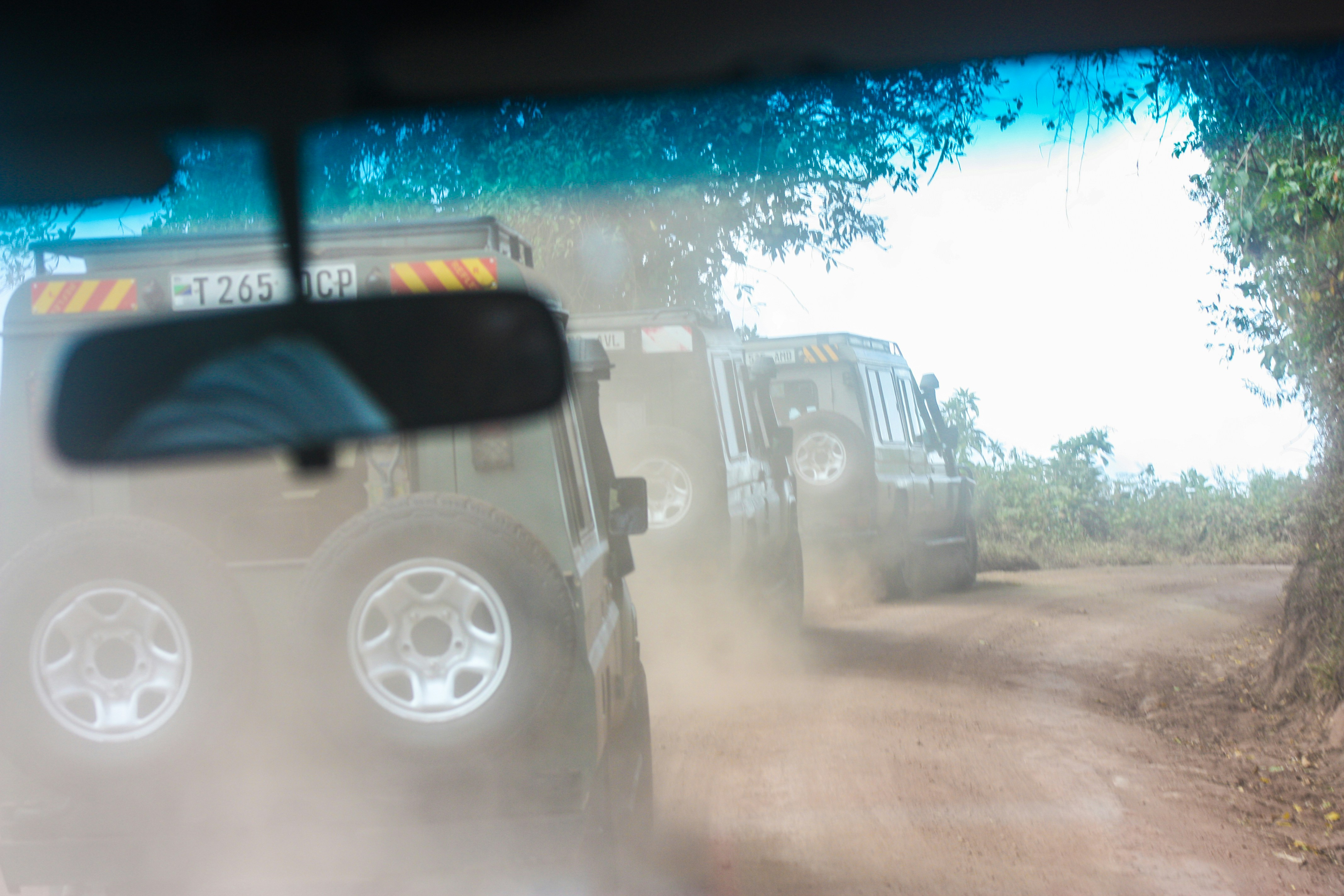 Off-road vehicles navigating a dusty path surrounded by lush greenery, seen from inside a vehicle. The scene captures the essence of exploration.