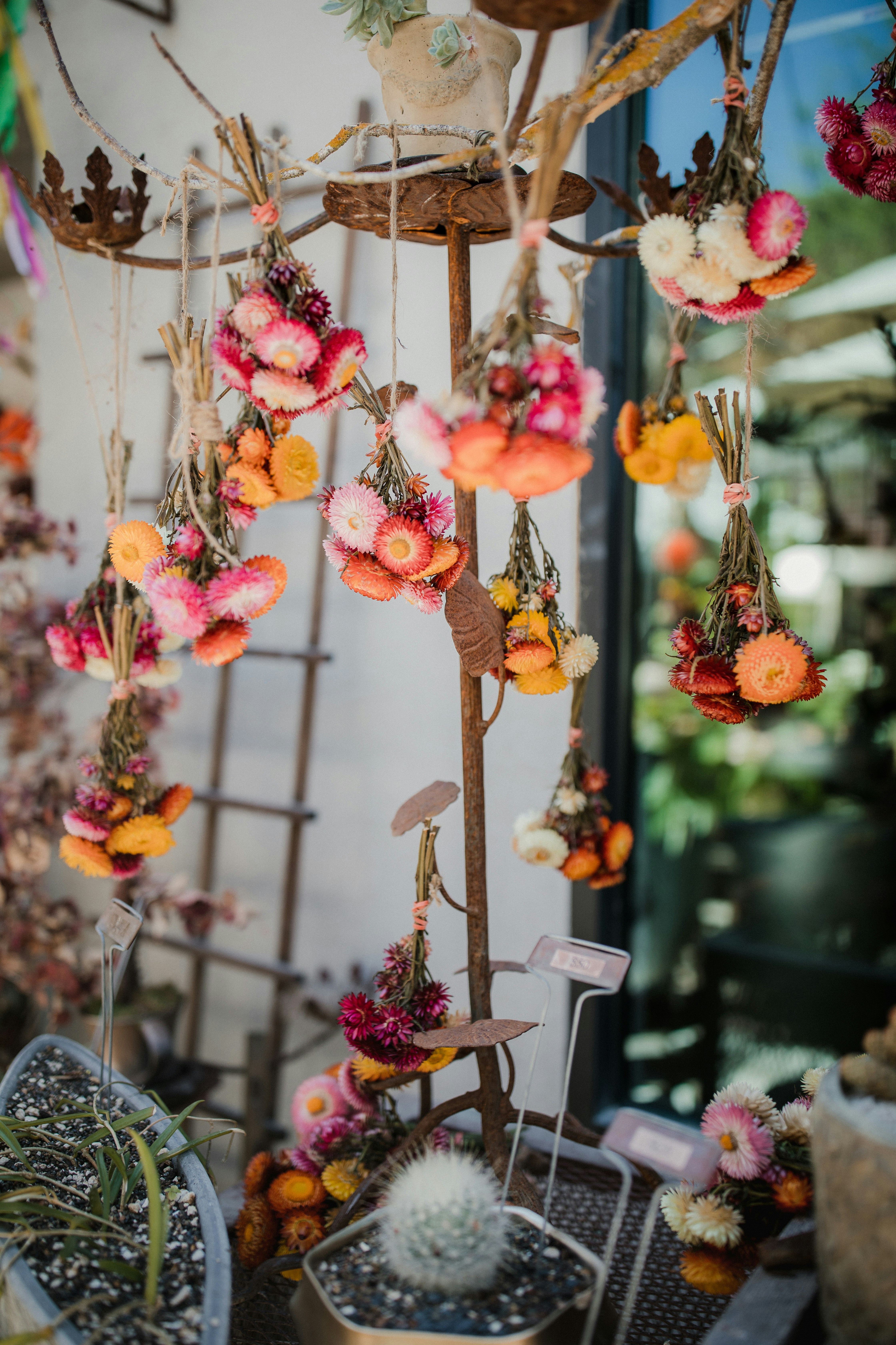 Colorful dried flowers suspended from a rustic stand, showcasing a vibrant array of hues in a charming outdoor setting.