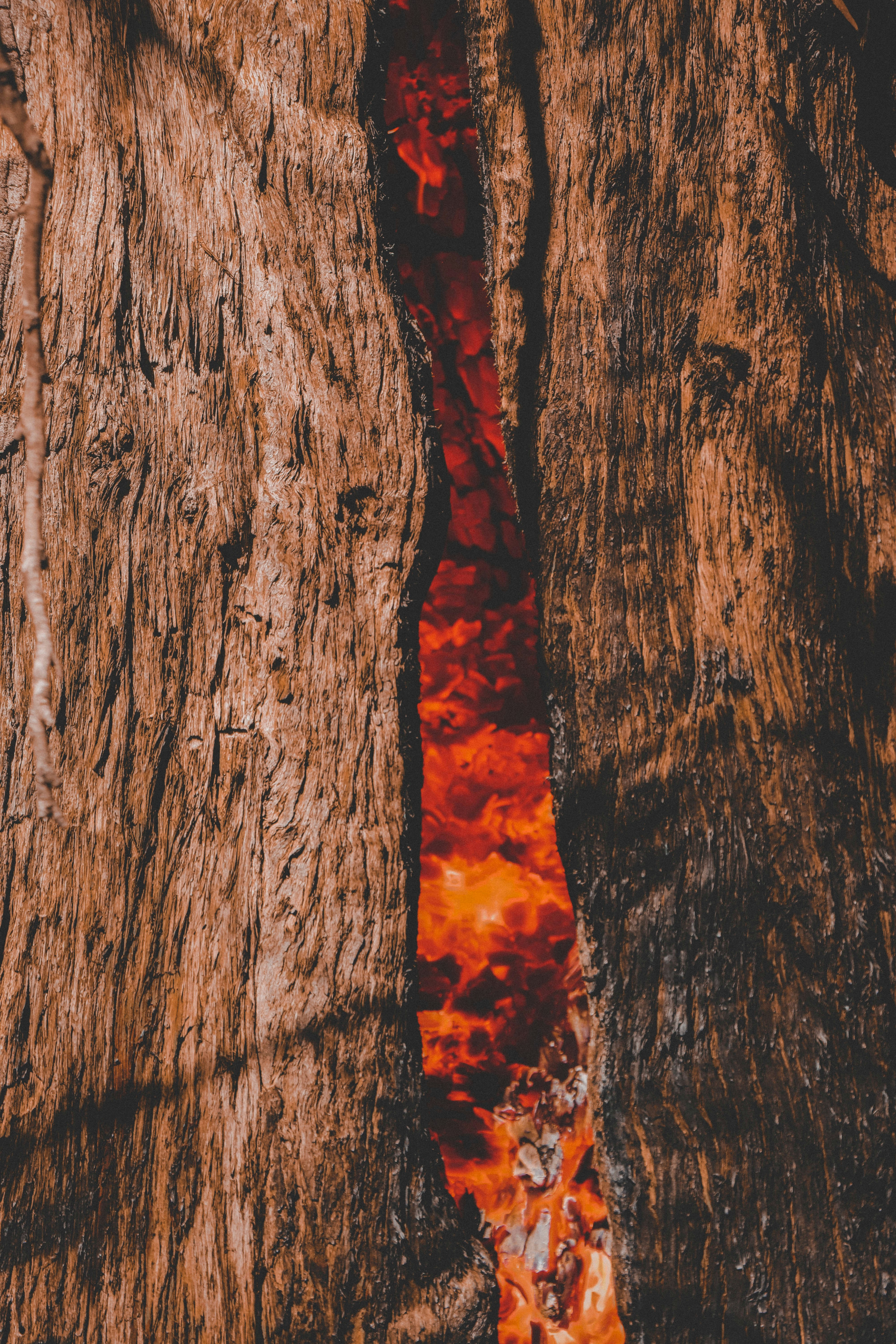 Ember Vein: Molten Light in a Charred Crevice
