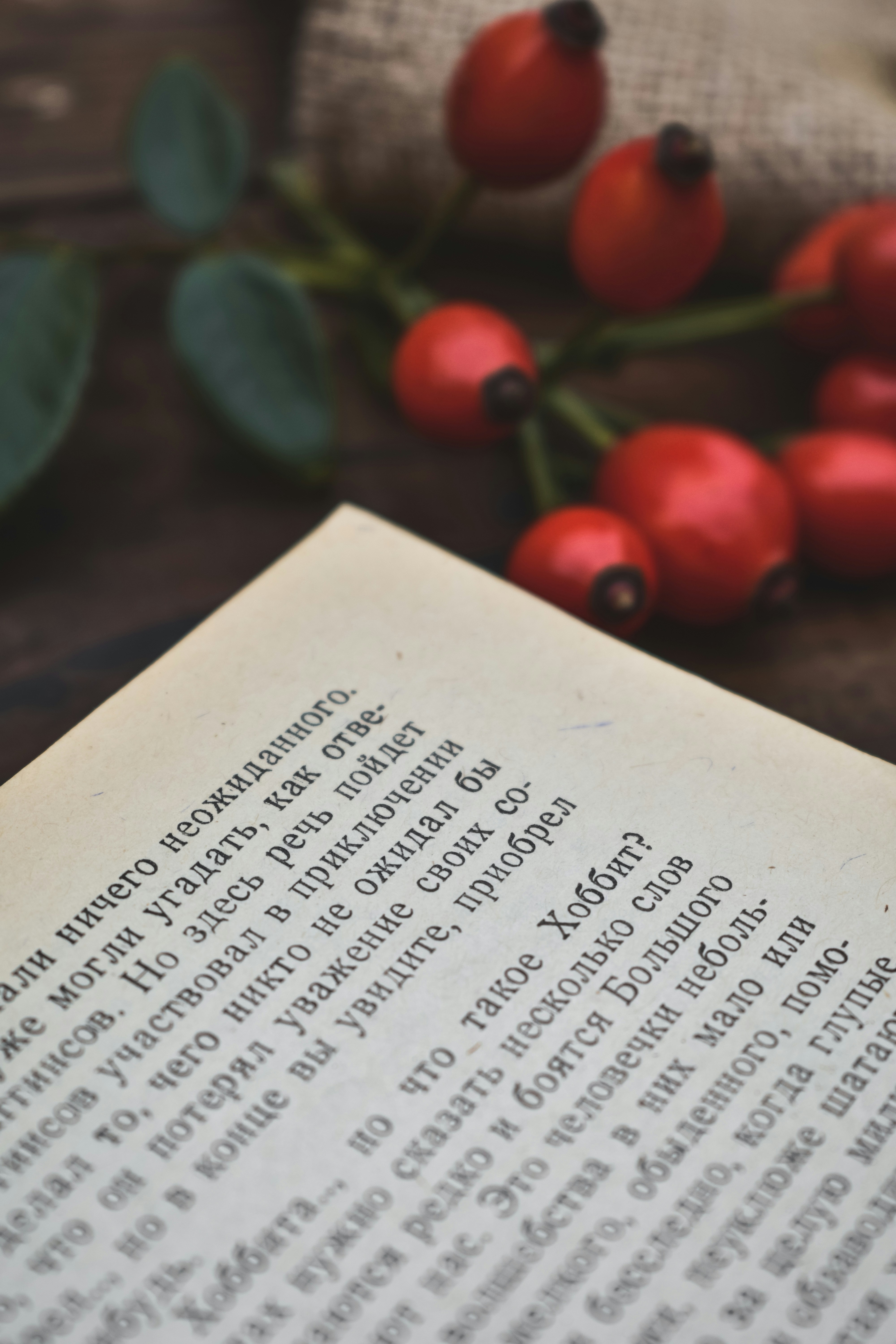 Open book with text in a vintage style, accompanied by vibrant red berries and green leaves, set against a rustic wooden background.