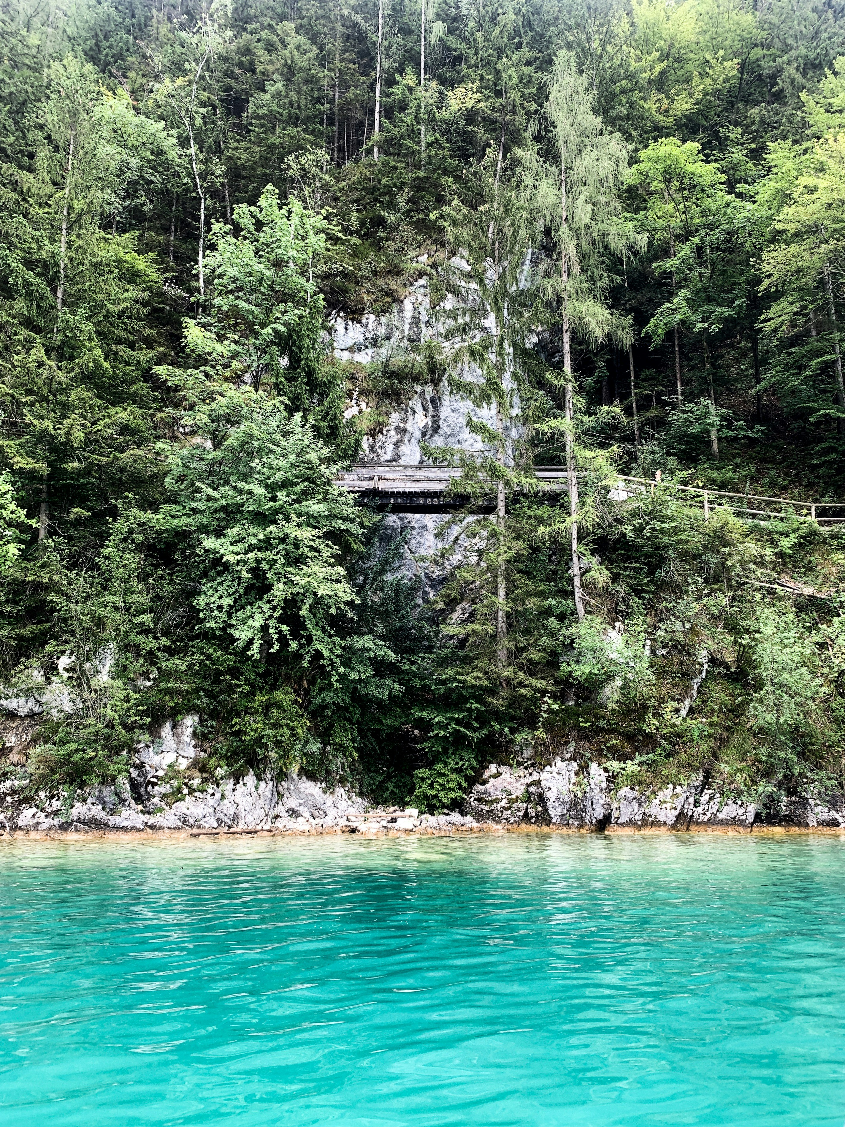 Tree near water photo – Free Outdoors Image on Unsplash