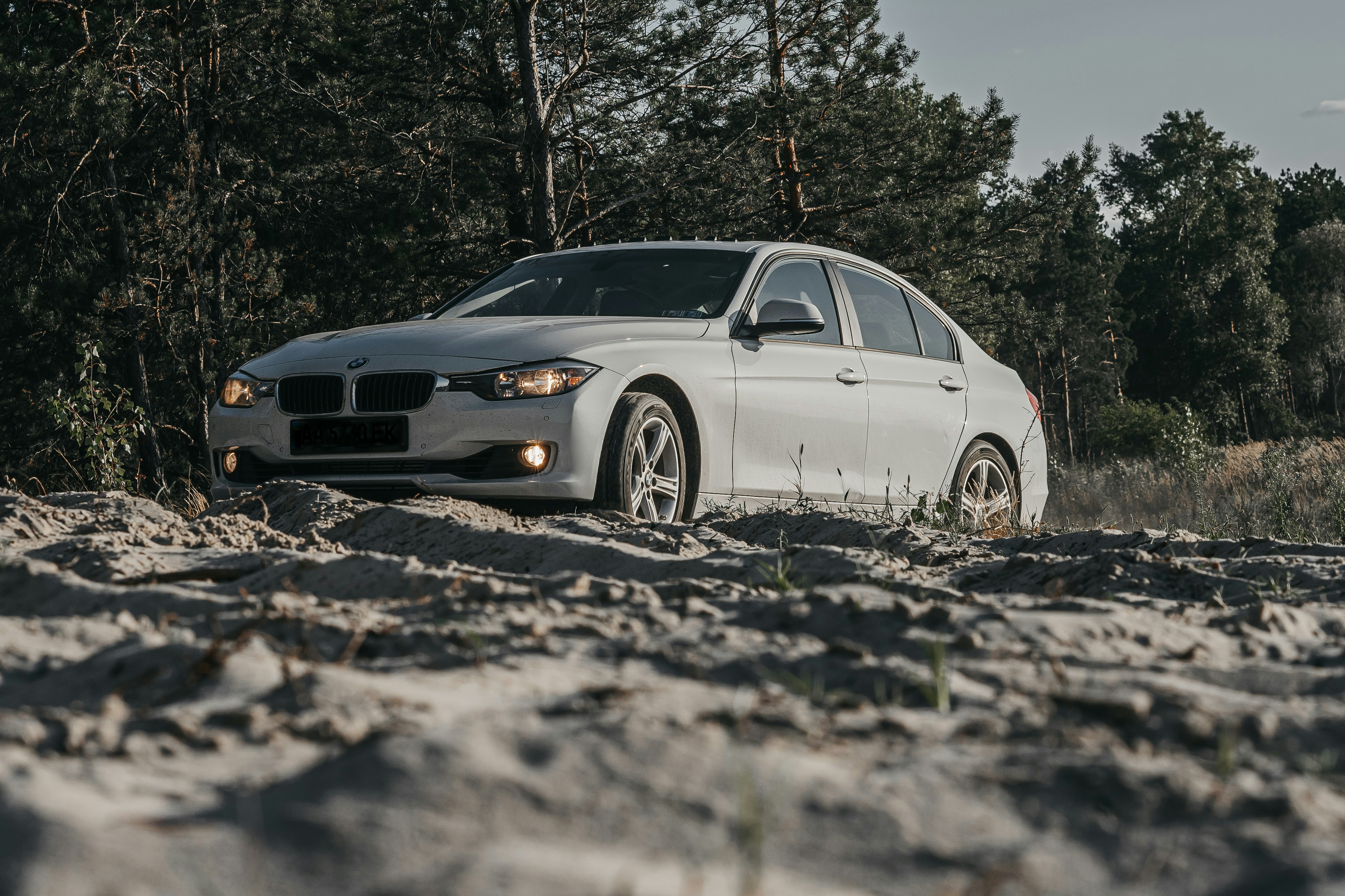 BMW in the forest
