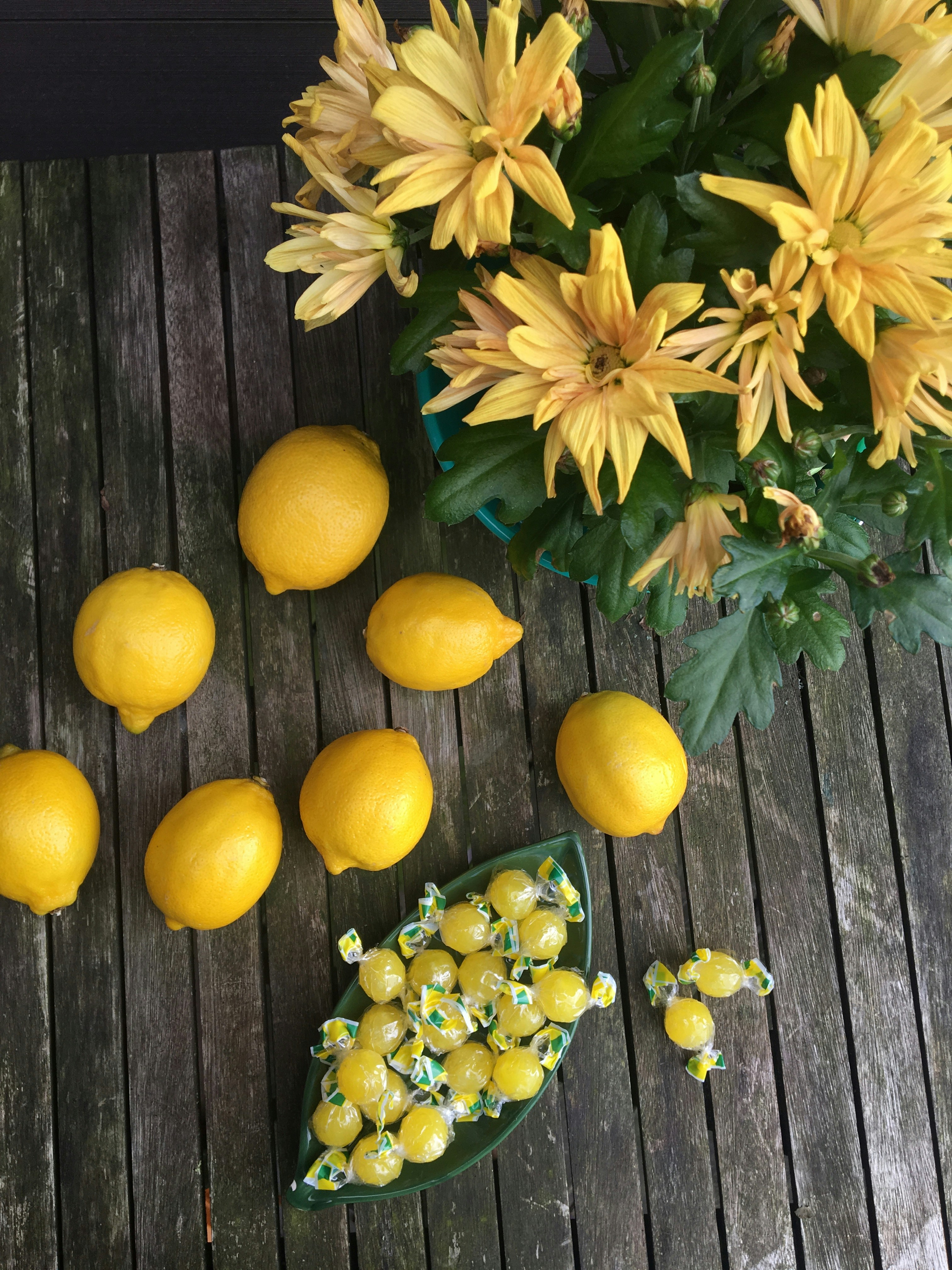 Lemon Scatter Under a Burst of Yellow Chrysanthemums on Weathered Wood