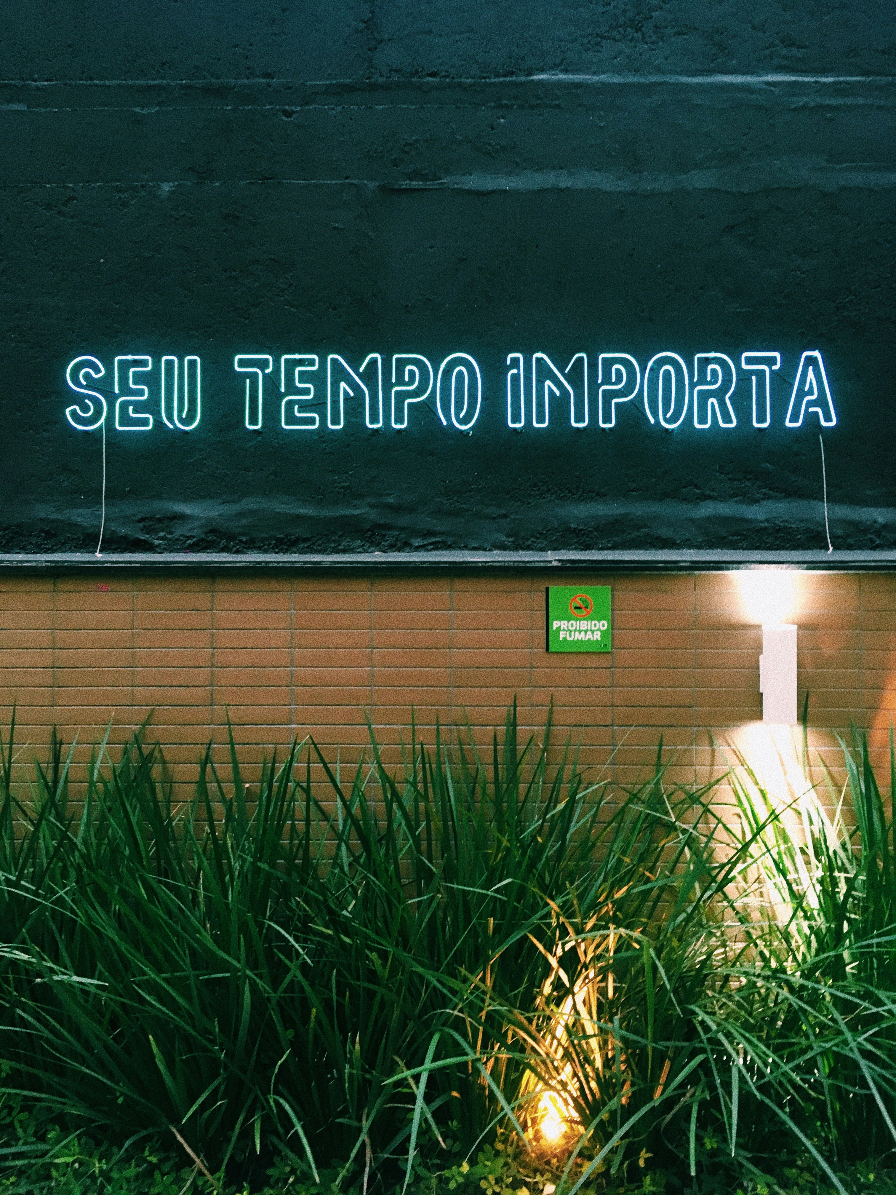Neon sign reading 'SEU TEMPO IMPORTA' against a textured wall, surrounded by lush greenery and a soft light below.