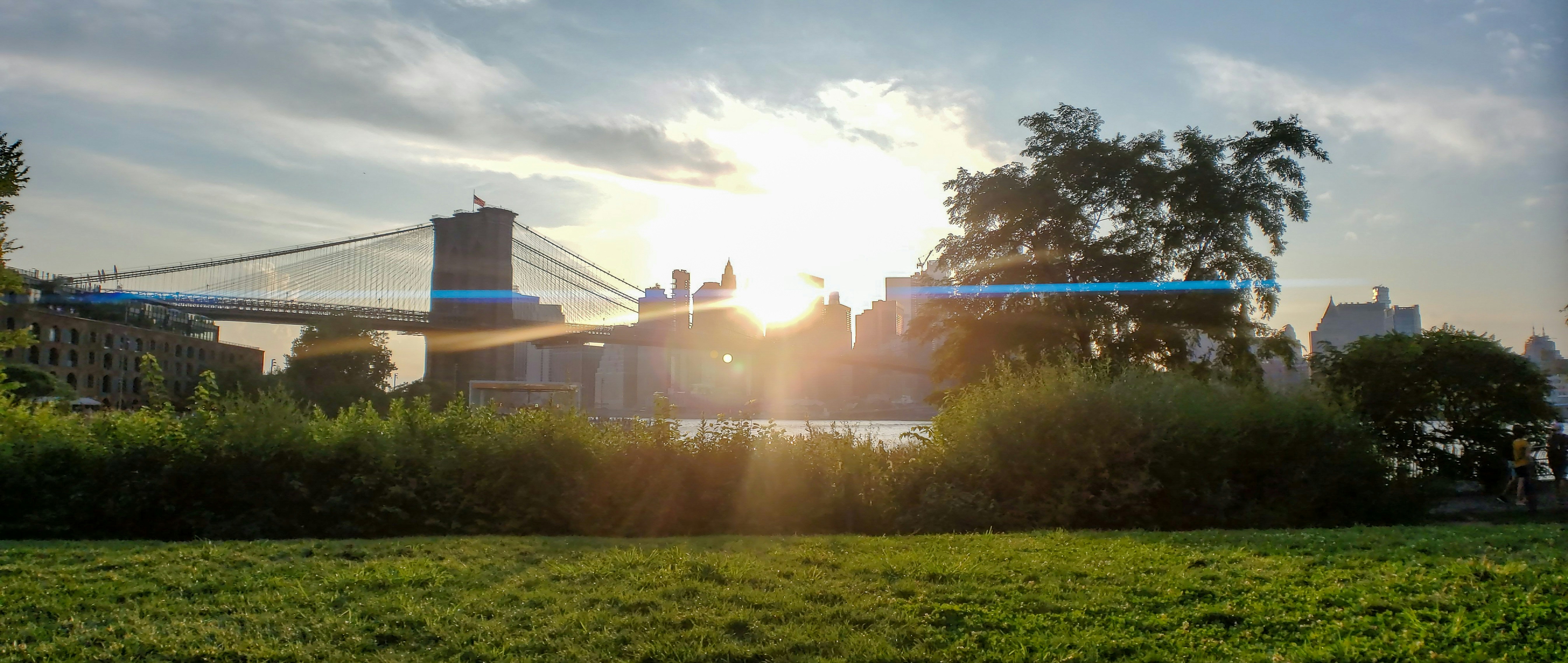 Sun setting behind a suspension bridge with city skyline and lush greenery in the foreground.