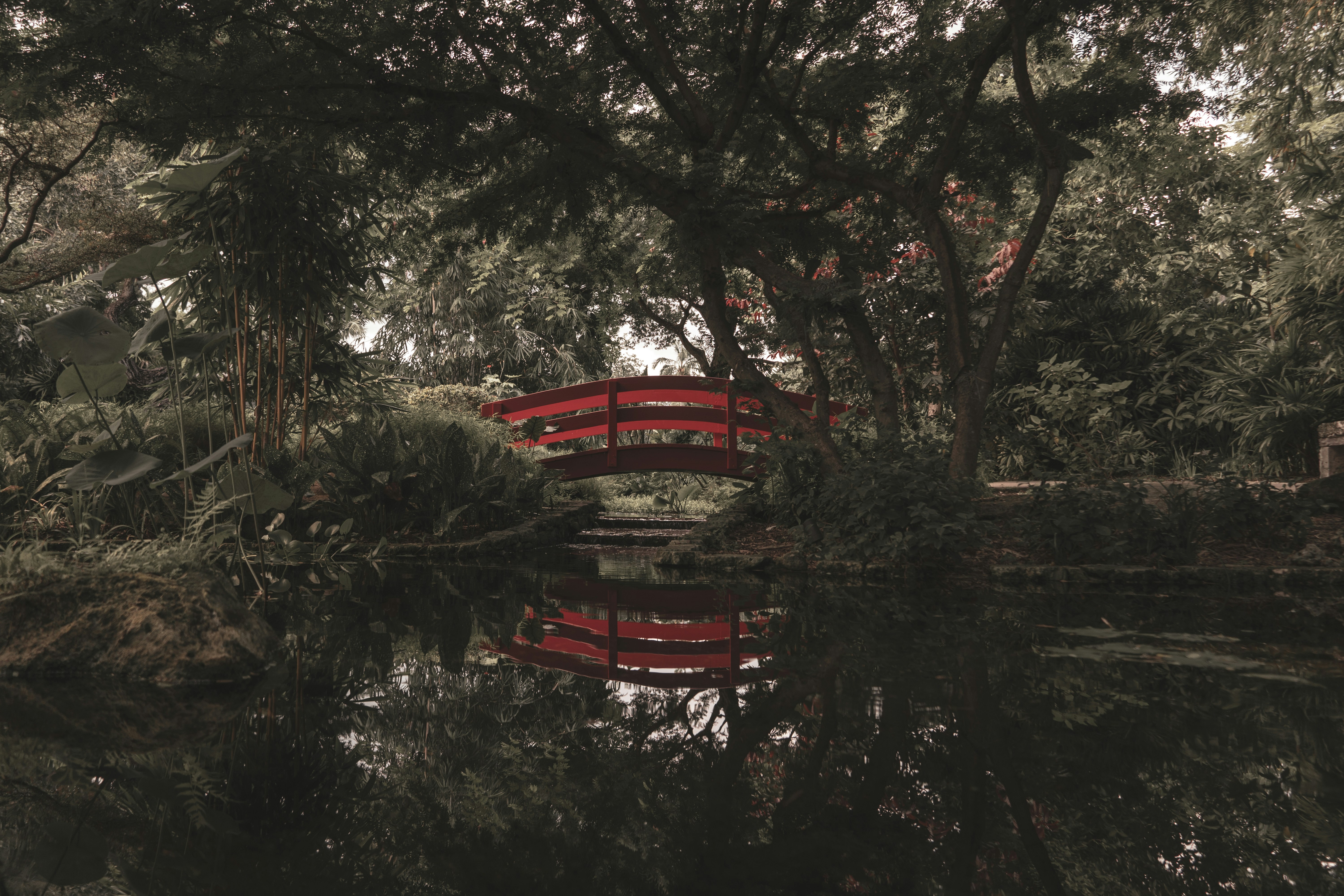 Red Bridge in a Moonshadow Garden: Reflections Beneath Quiet Water