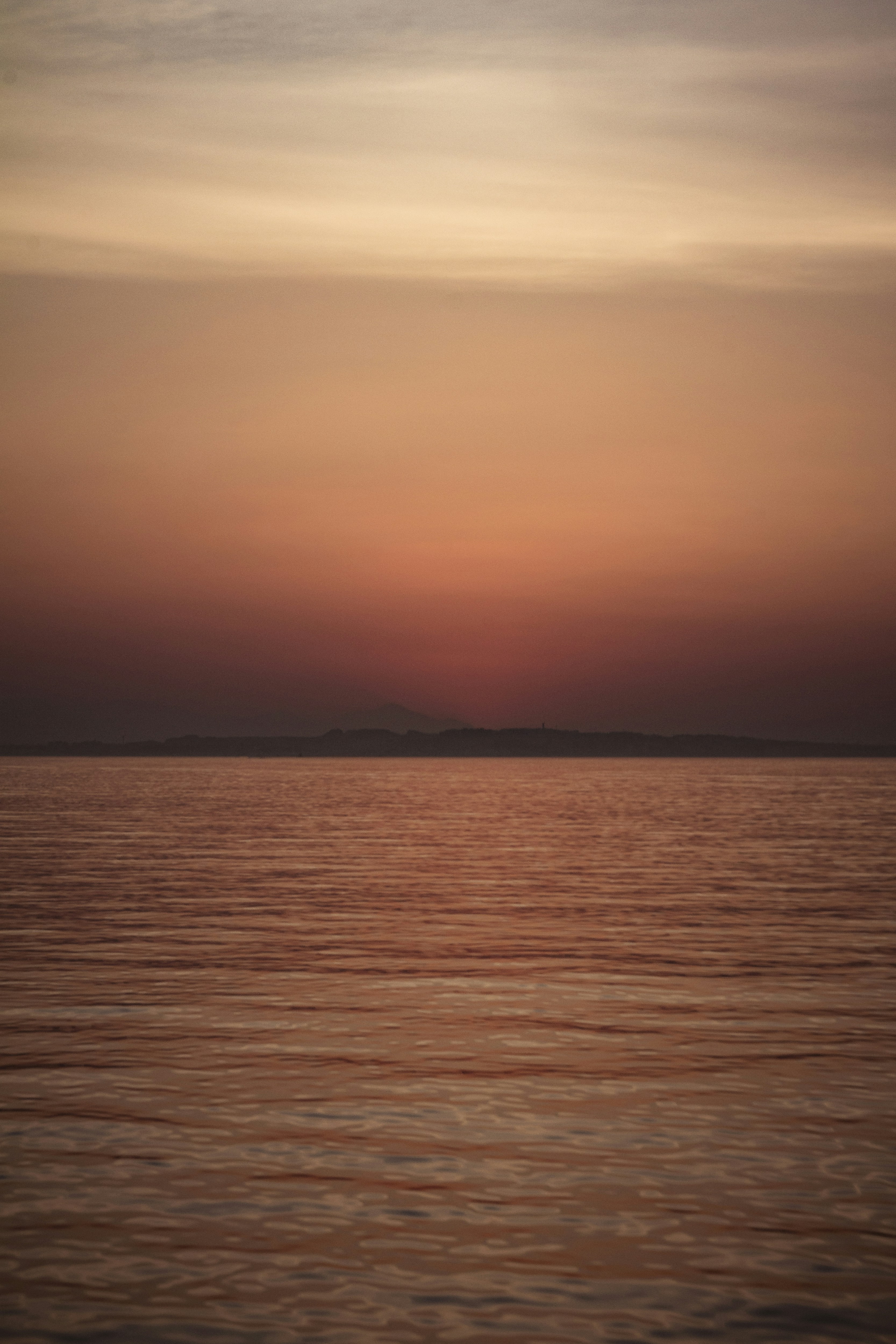 Red Sea Pictures | Download Free Images on Unsplash