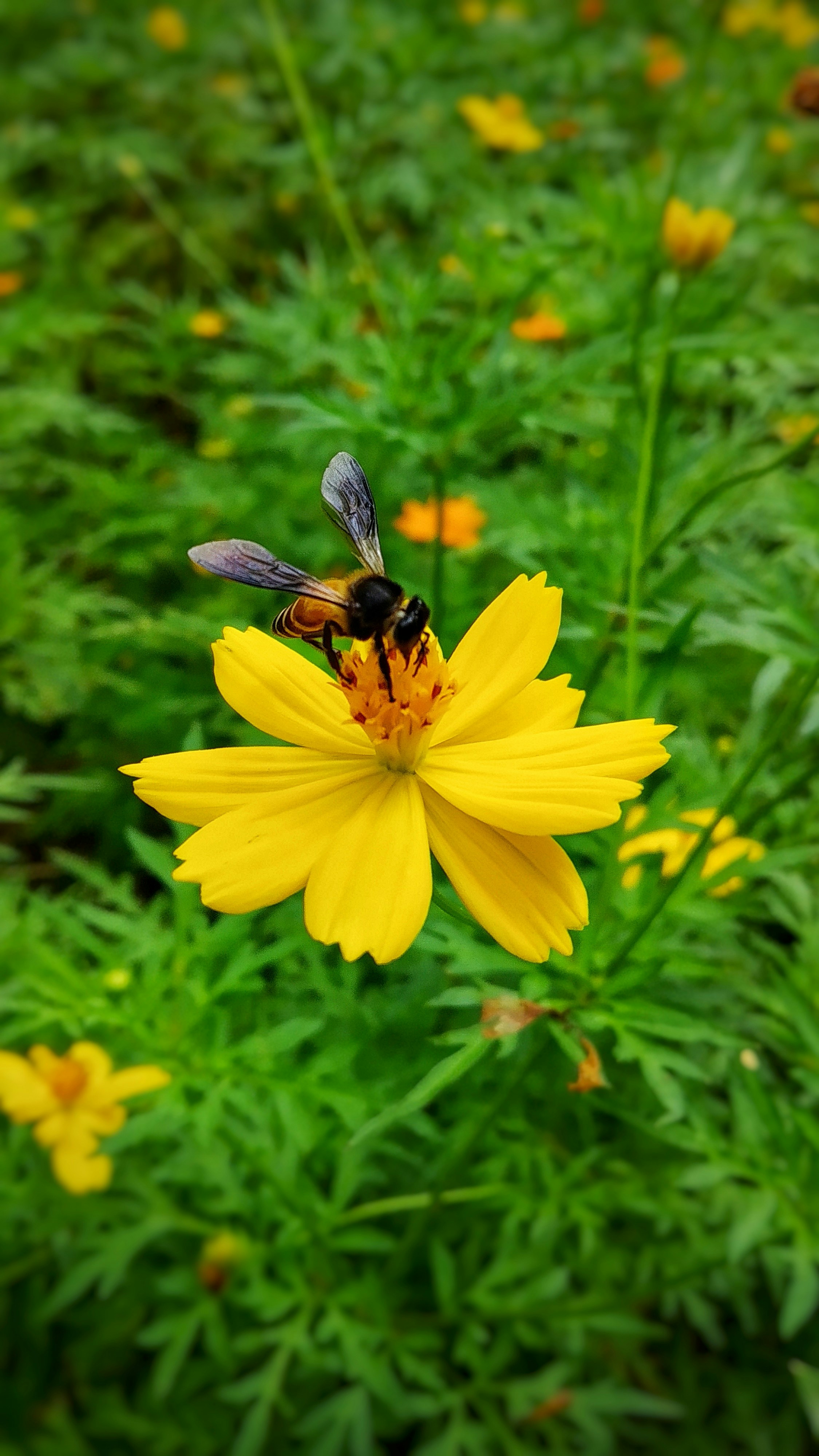 Louis Daniel (@lld_2093) | Unsplash Photo Community