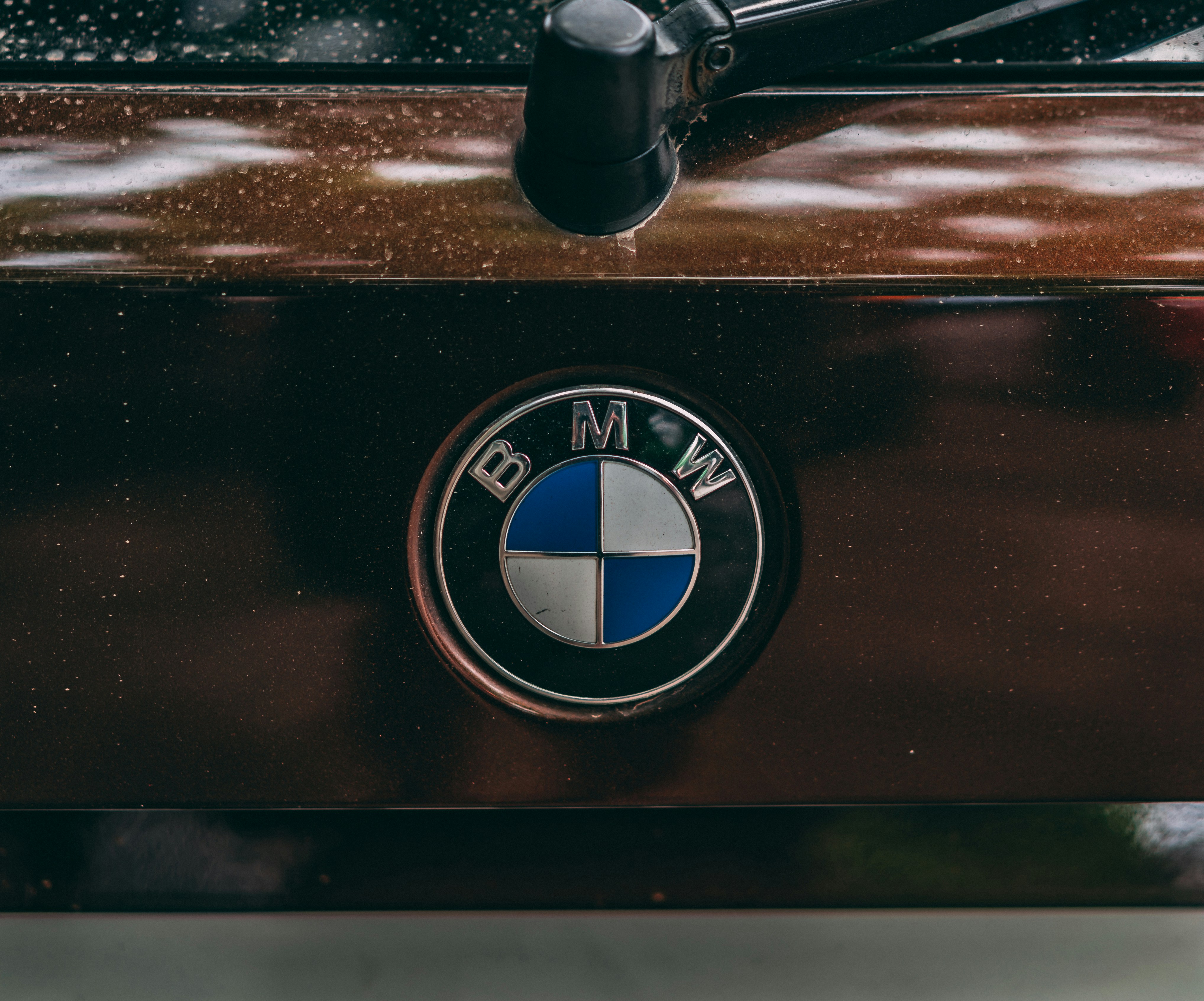 Raindrop Portrait: BMW Emblem on a Midnight Car Panel