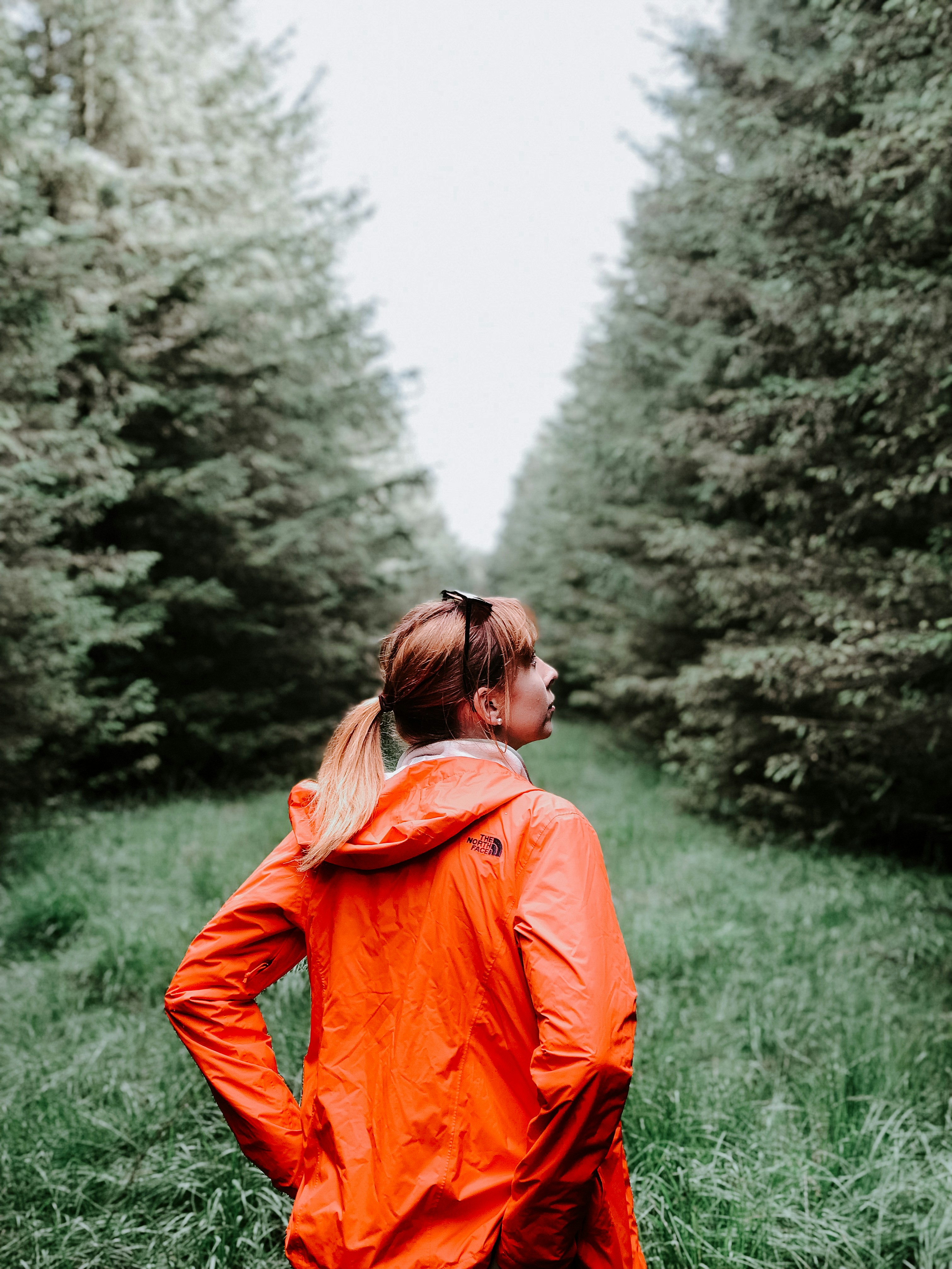 Person in a bright orange jacket standing on a lush green path between tall, dense trees.