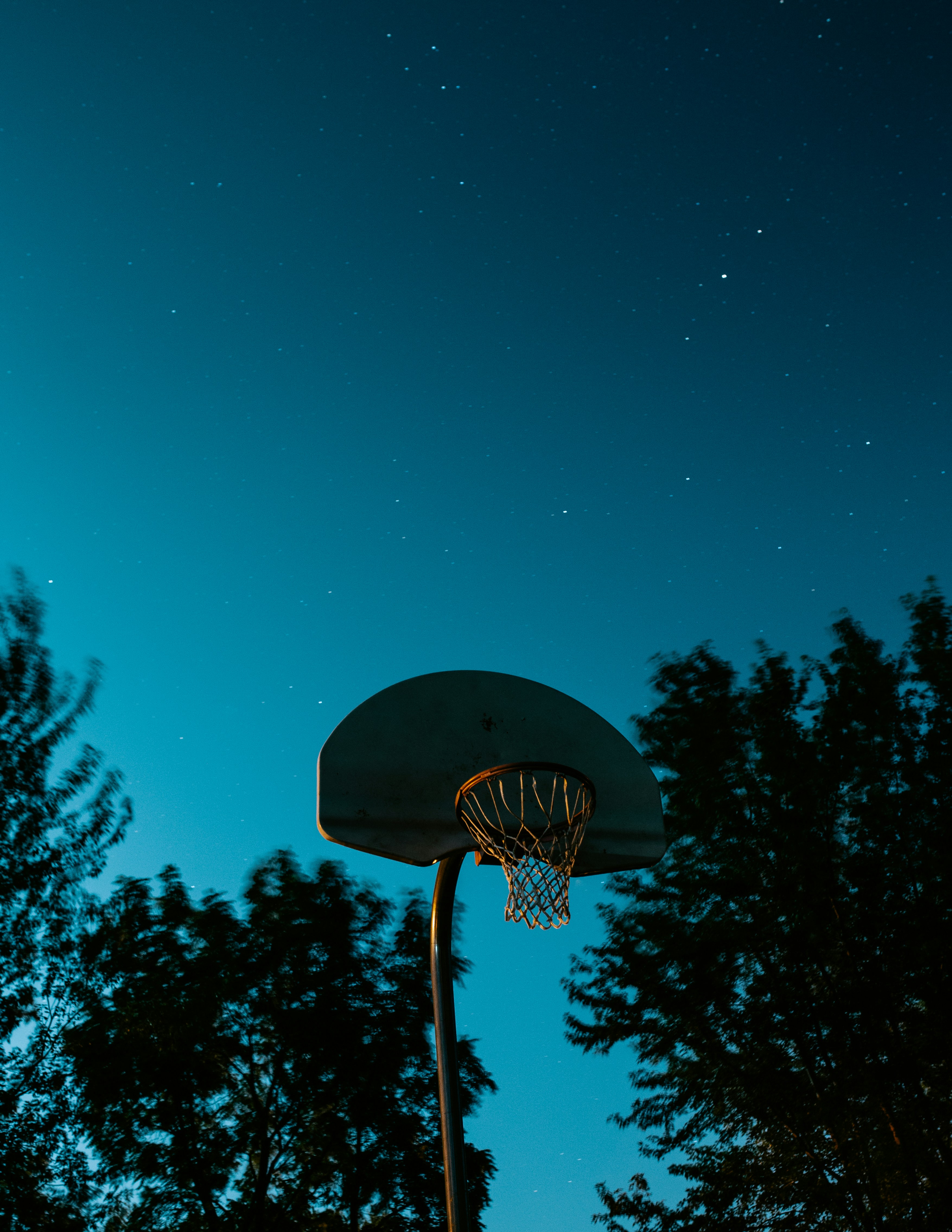 Brown and white basketball hoop near trees photo – Free Wallpapers ...