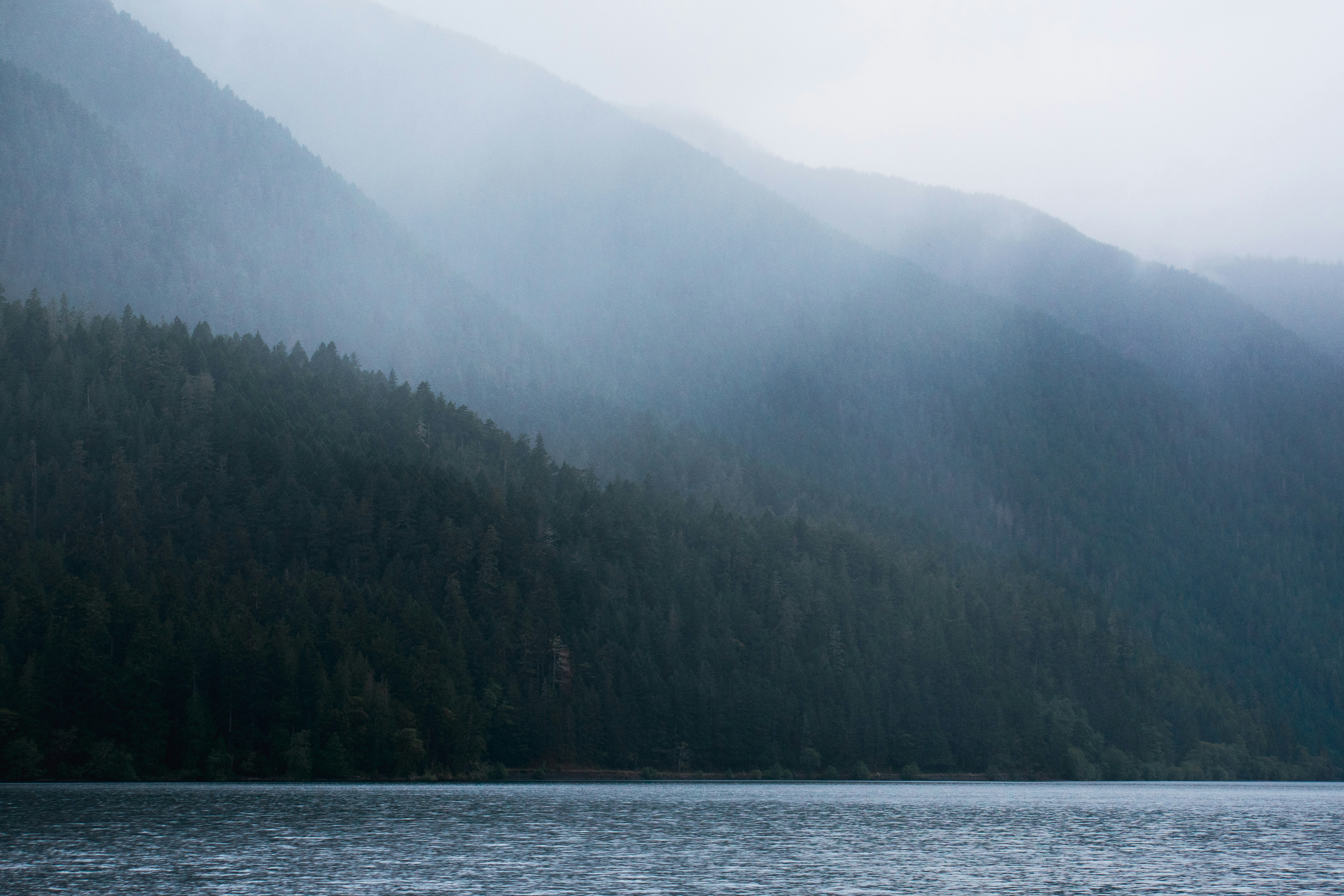 Misty mountain range with dense forest reflected in calm waters.