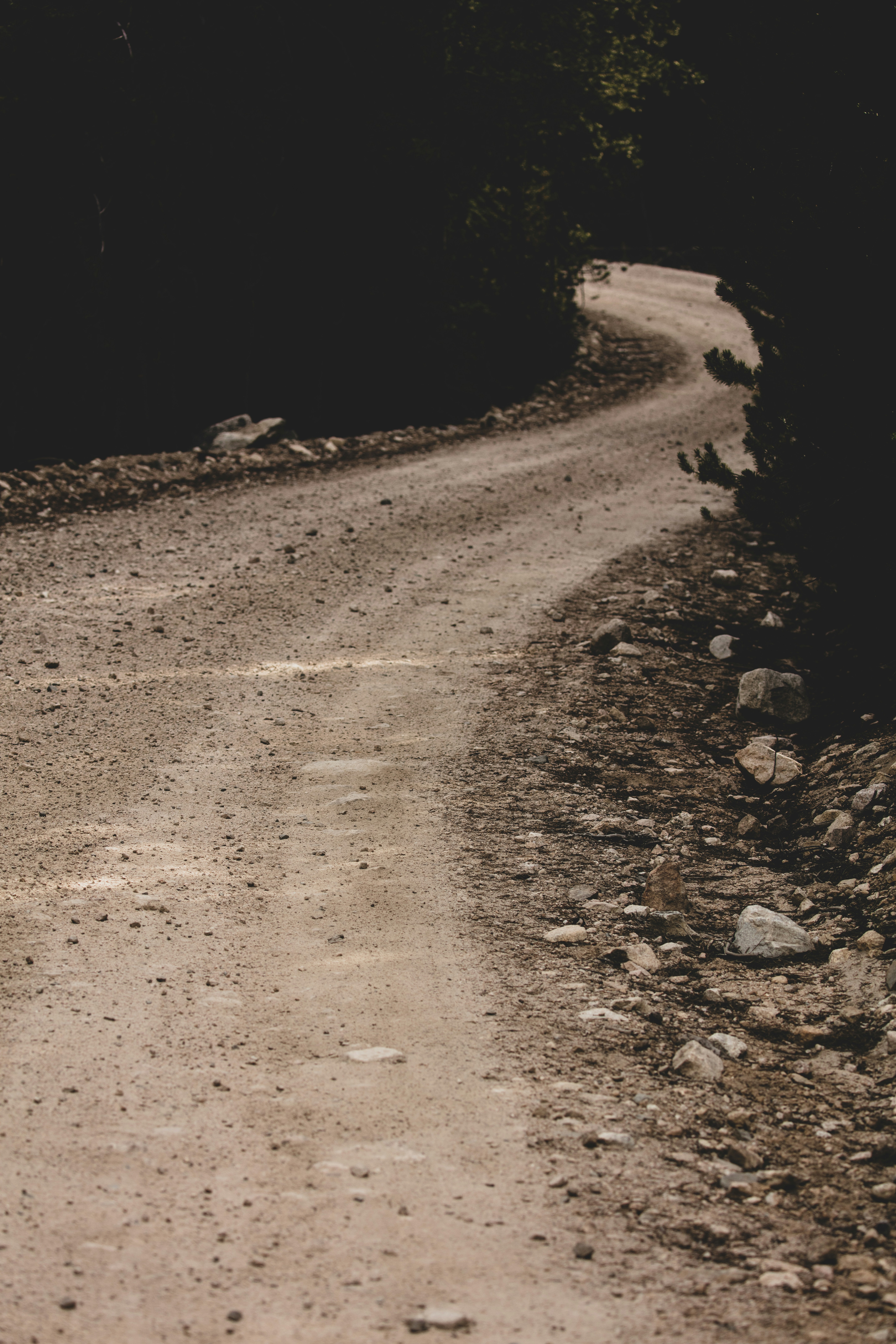 Curved dirt road meandering through a shadowy forest, surrounded by rocky terrain and greenery.
