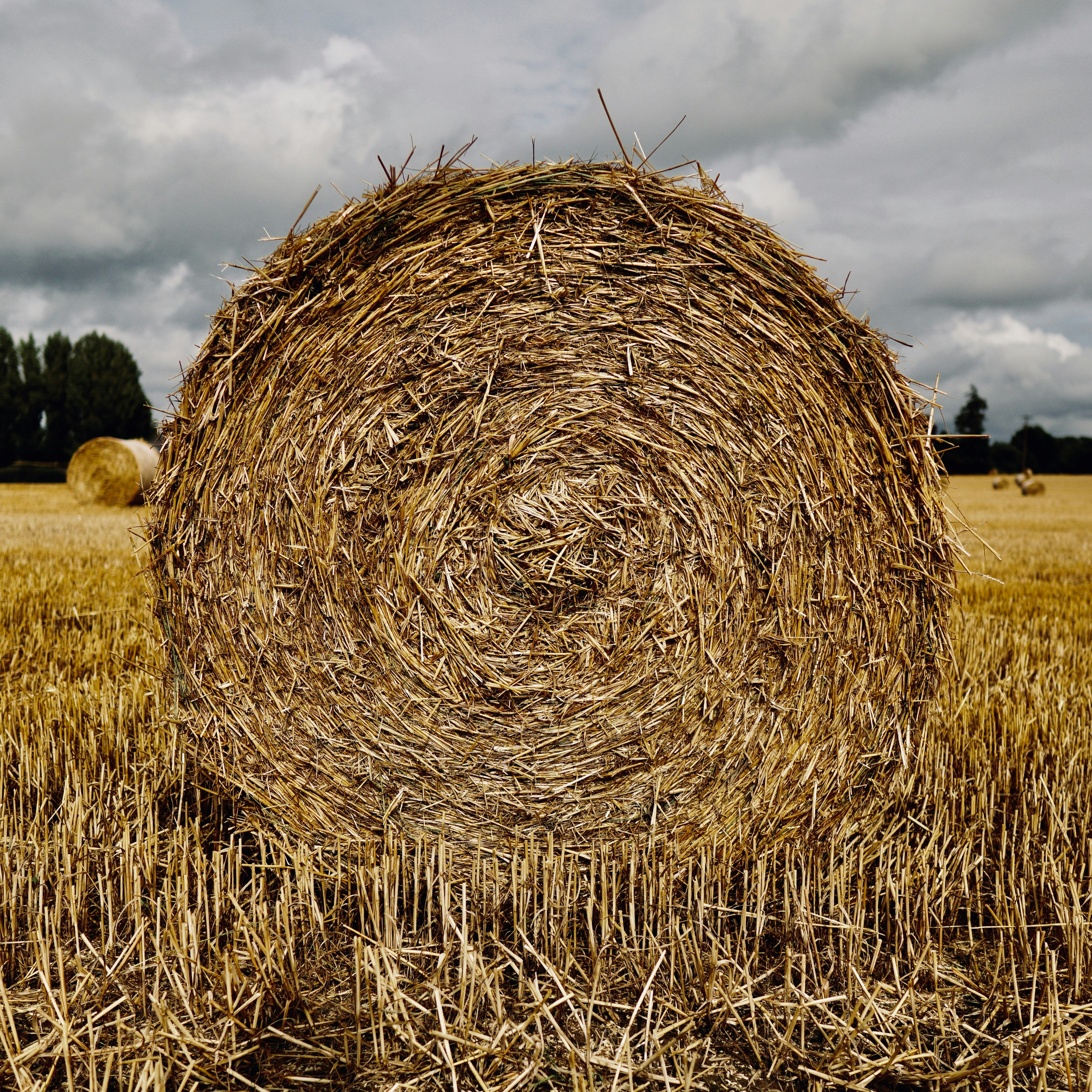 Hay Pictures | Download Free Images on Unsplash