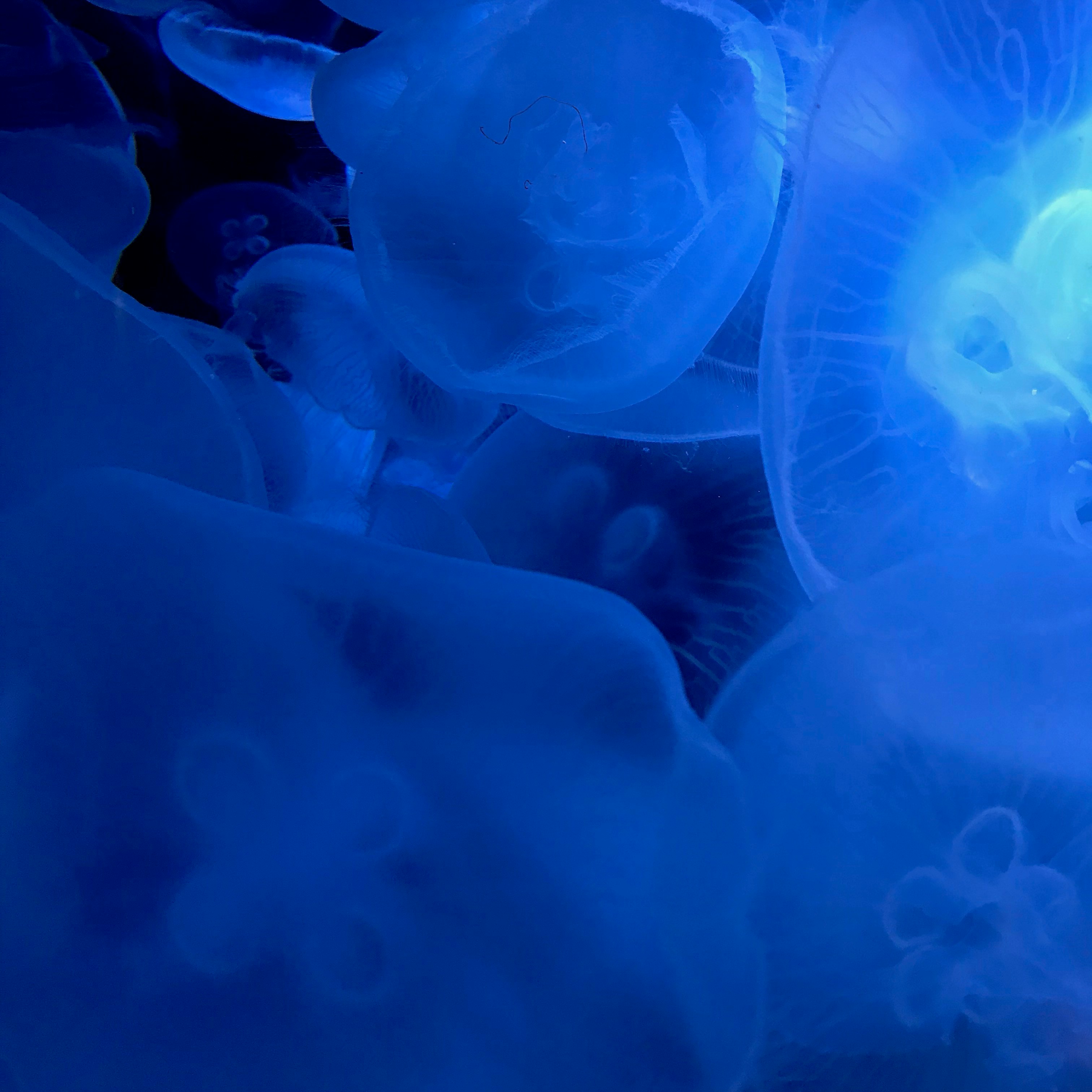 Piled blue cells photo – Free Blue Image on Unsplash