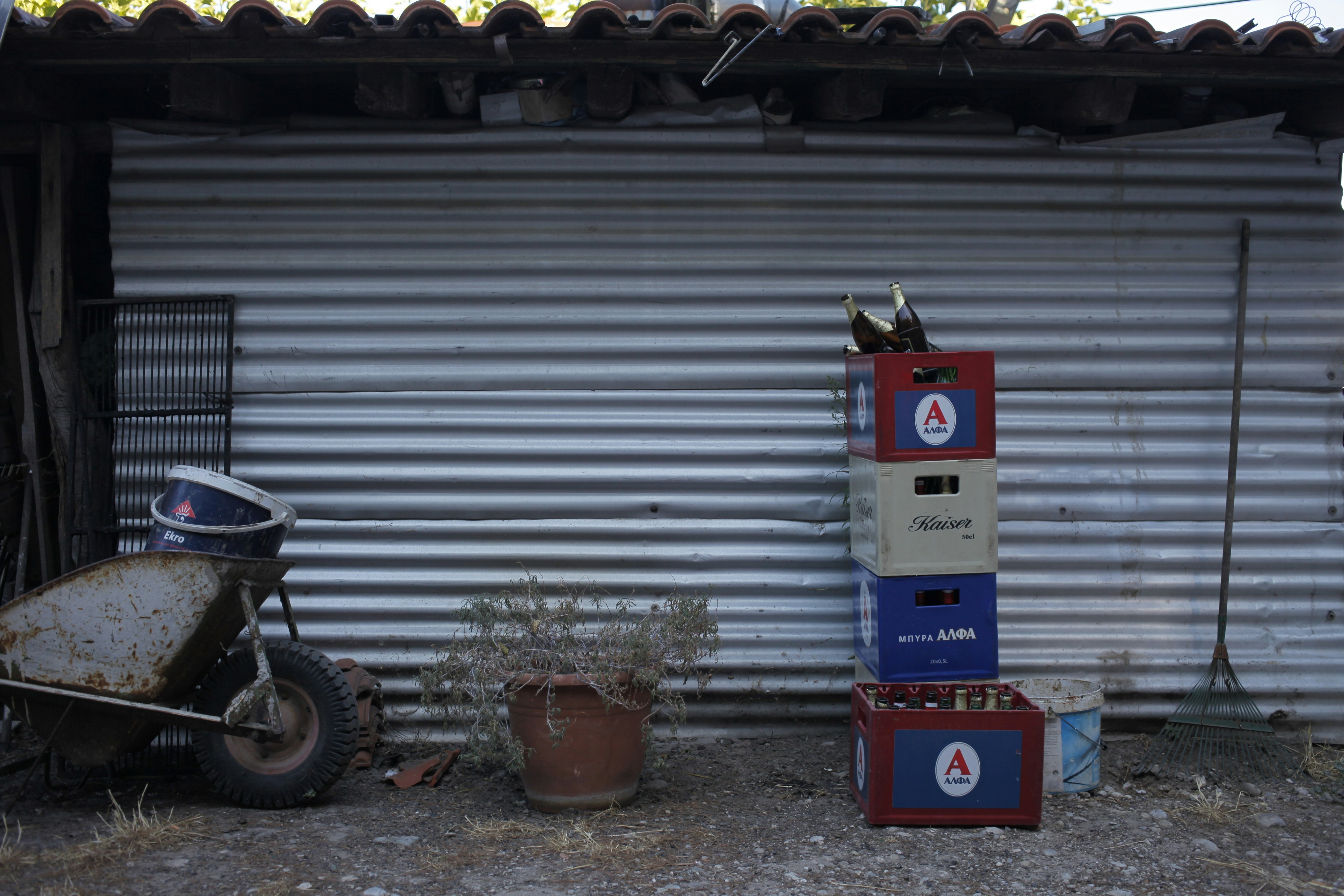Perched Sentinel on the Crate Stack by a Weathered Shopfront