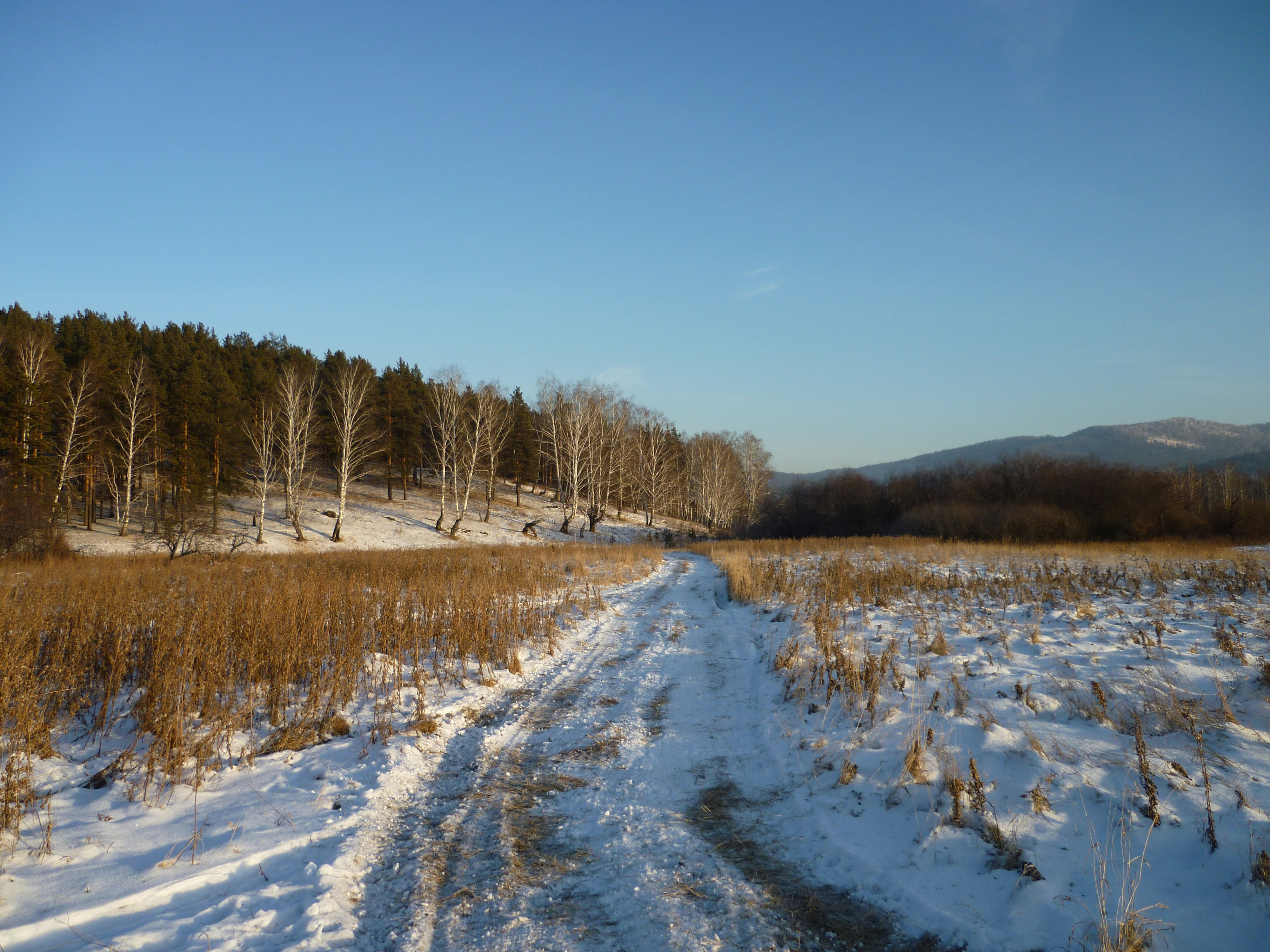 A snow-covered path winds through a tranquil winter landscape, flanked by bare trees and distant mountains. The clear blue sky enhances the peaceful atmosphere.