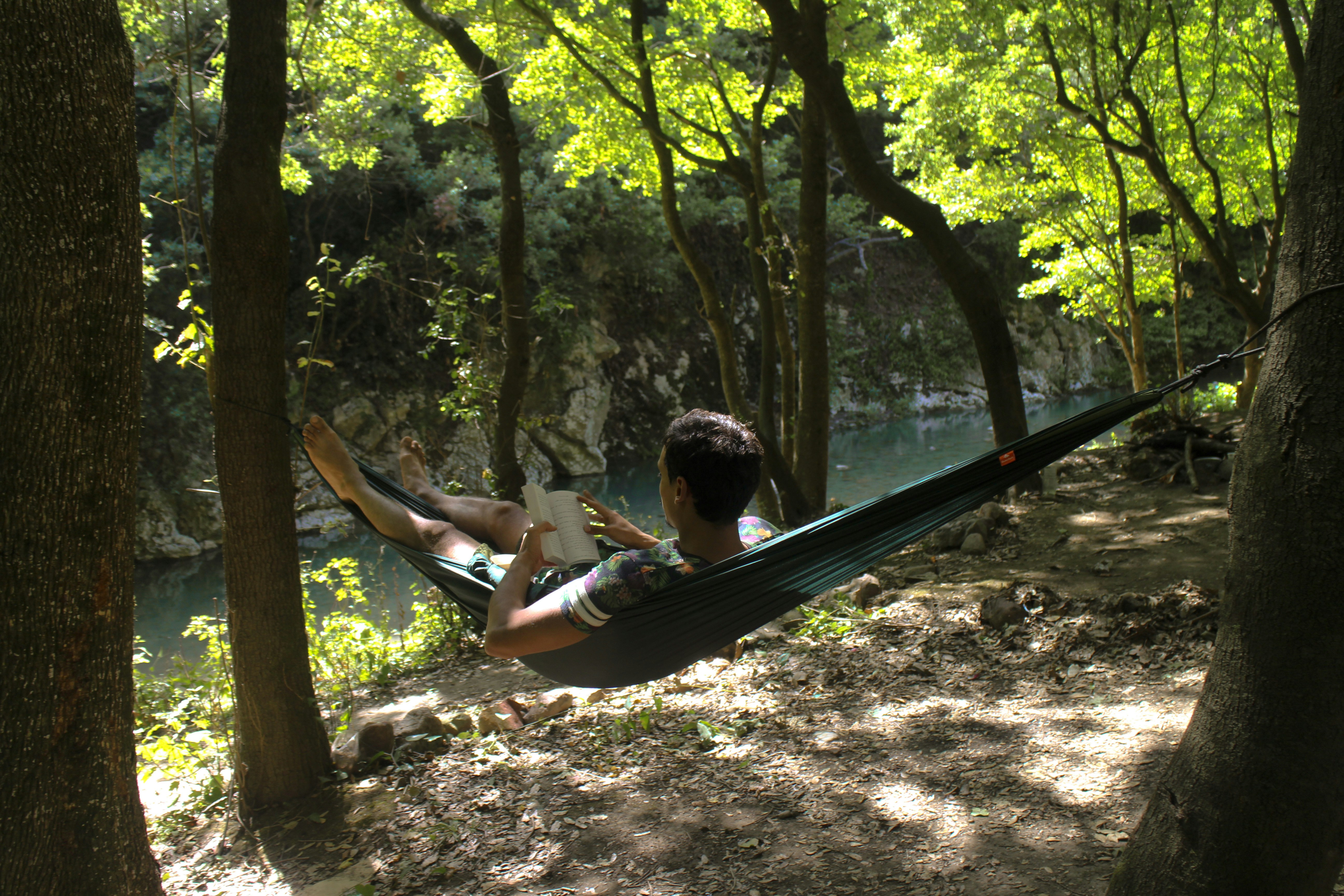 Forest Hammock Portrait: Quiet Midday in a Sunlit Clearing
