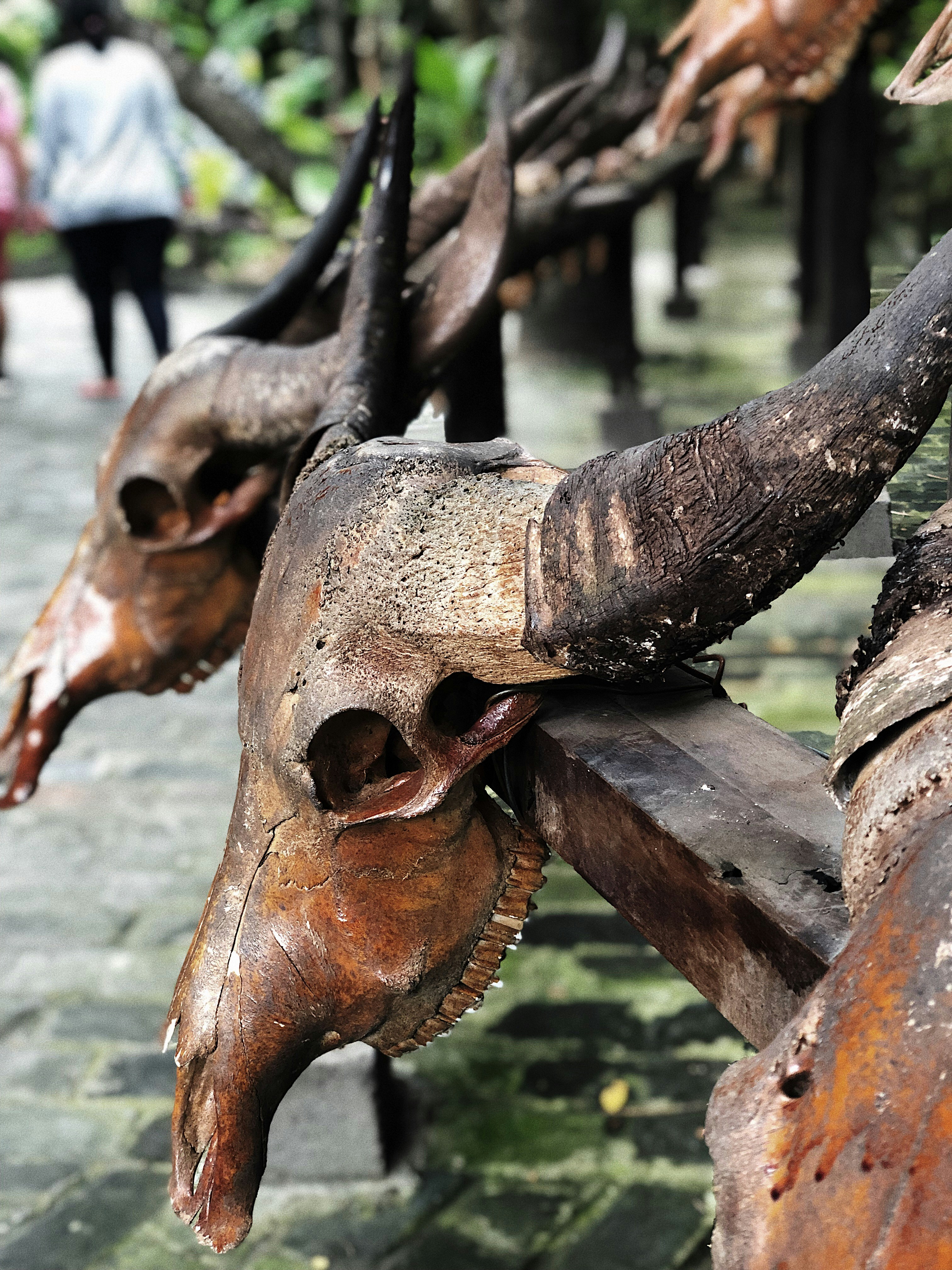 Rusted Carved Relic: Horned Gaze Across the Bridge