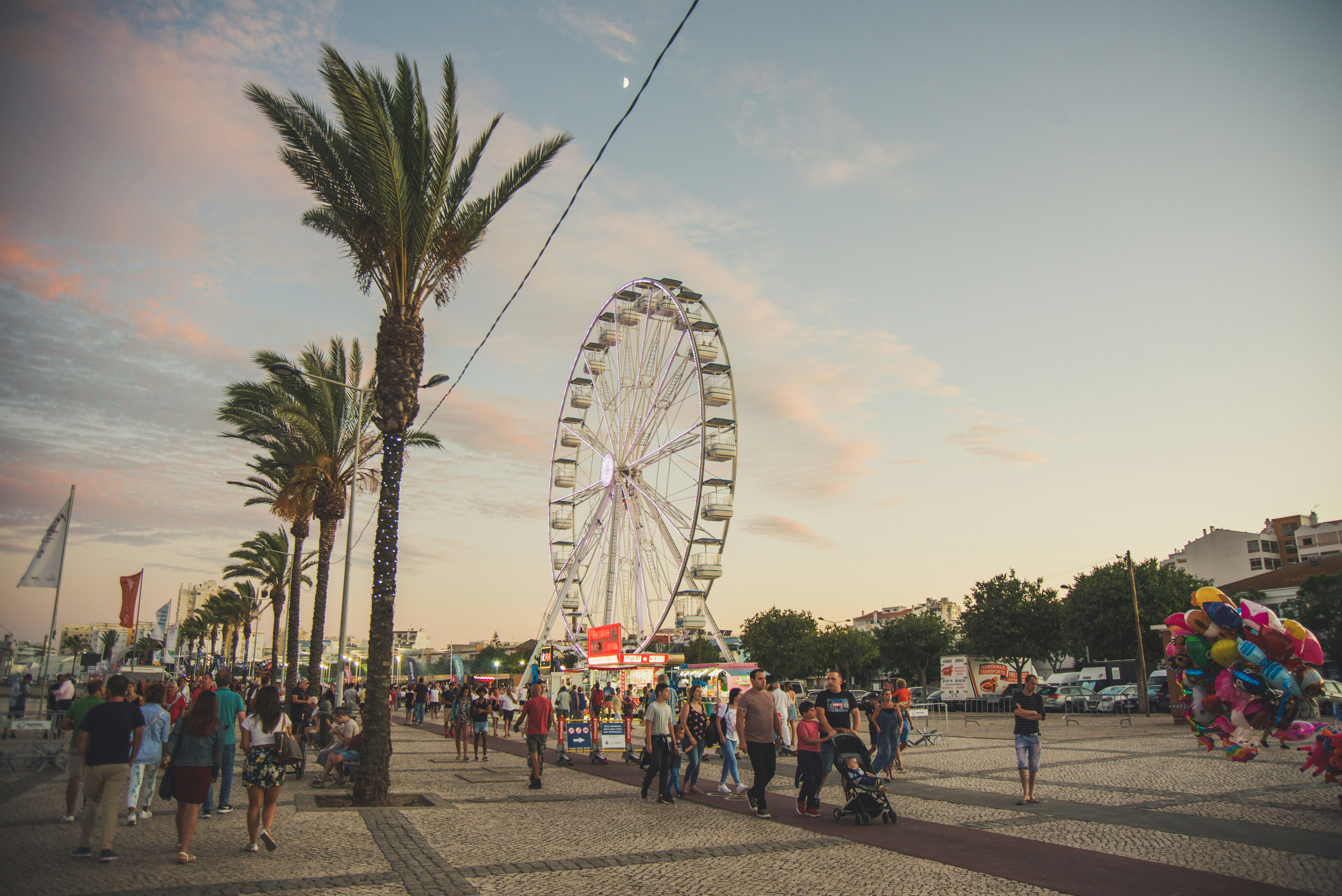 Twilight Wheel: A Palm-Fringed Fairground Awakens with Ferris Lights