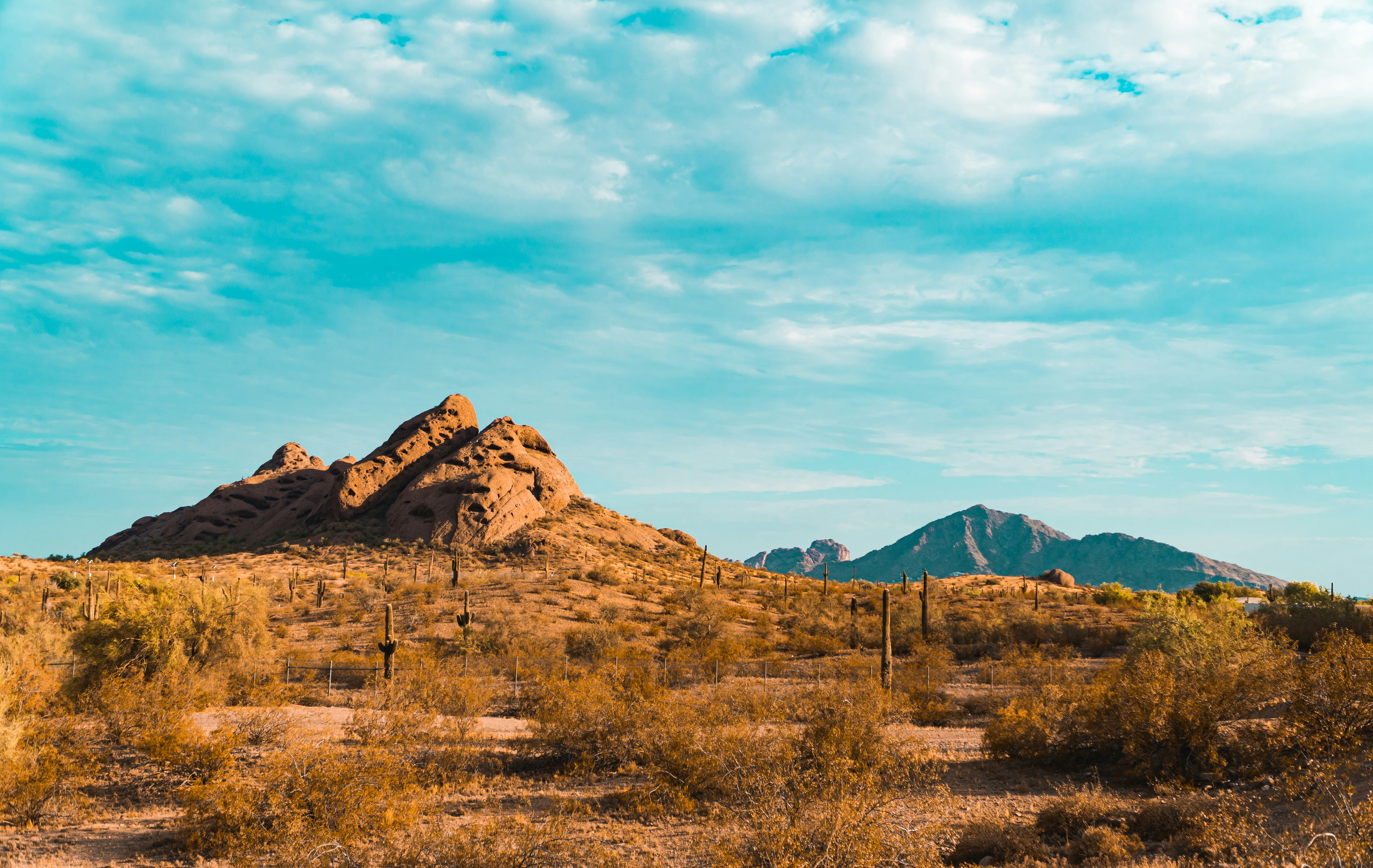 Anthony Melone (@anthony_melone) | Unsplash Photo Community