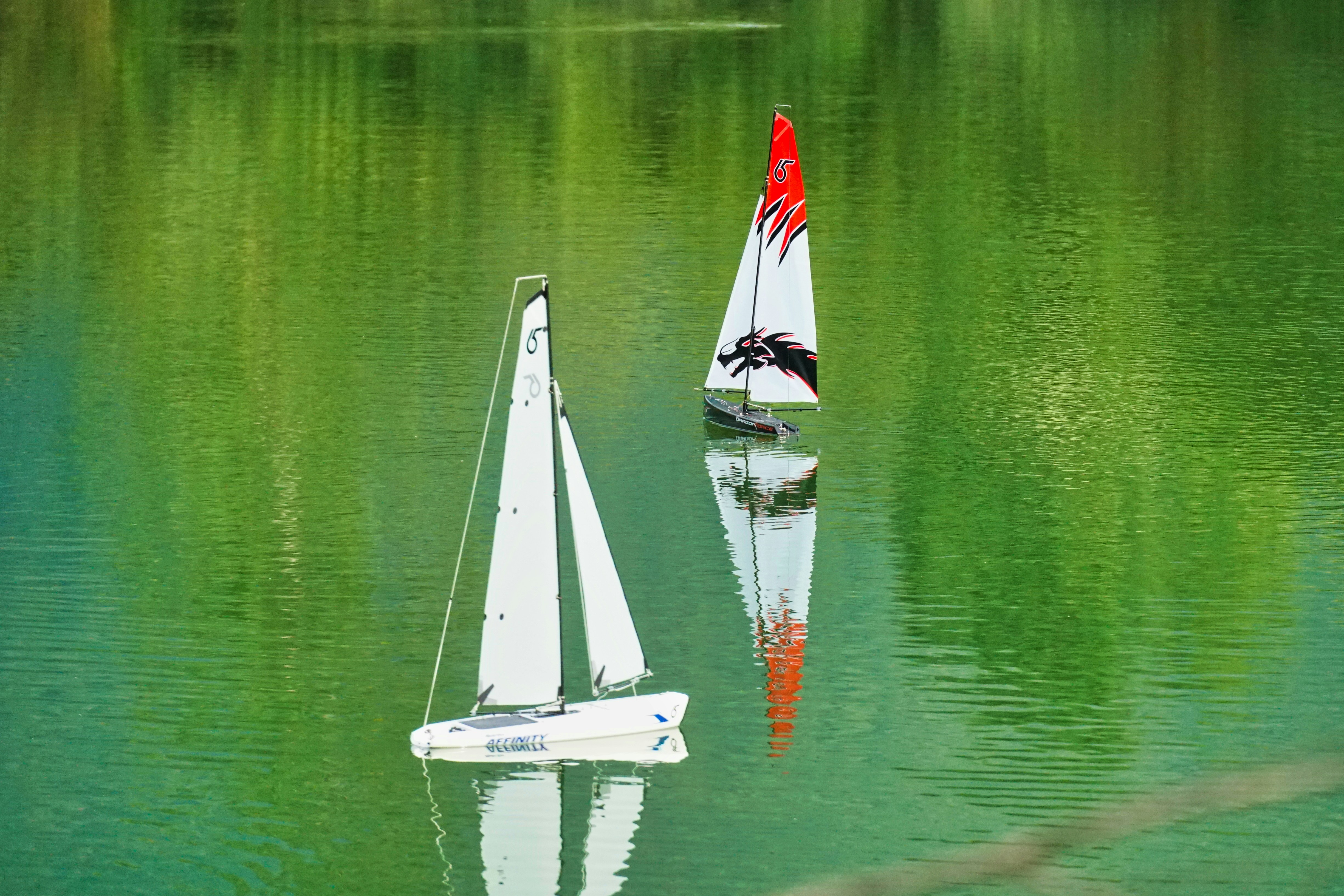 Green Mirror: Two Sailboats Drift Across a Quiet Pond
