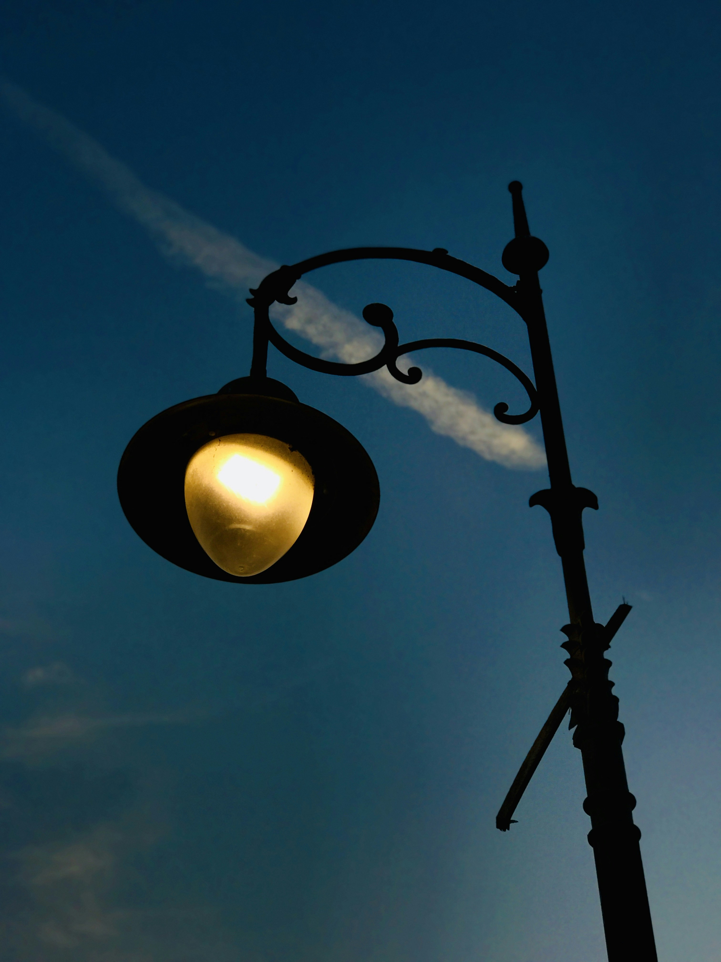 Heartlight Above Ironwork: Twilight Streetlamp Silhouette