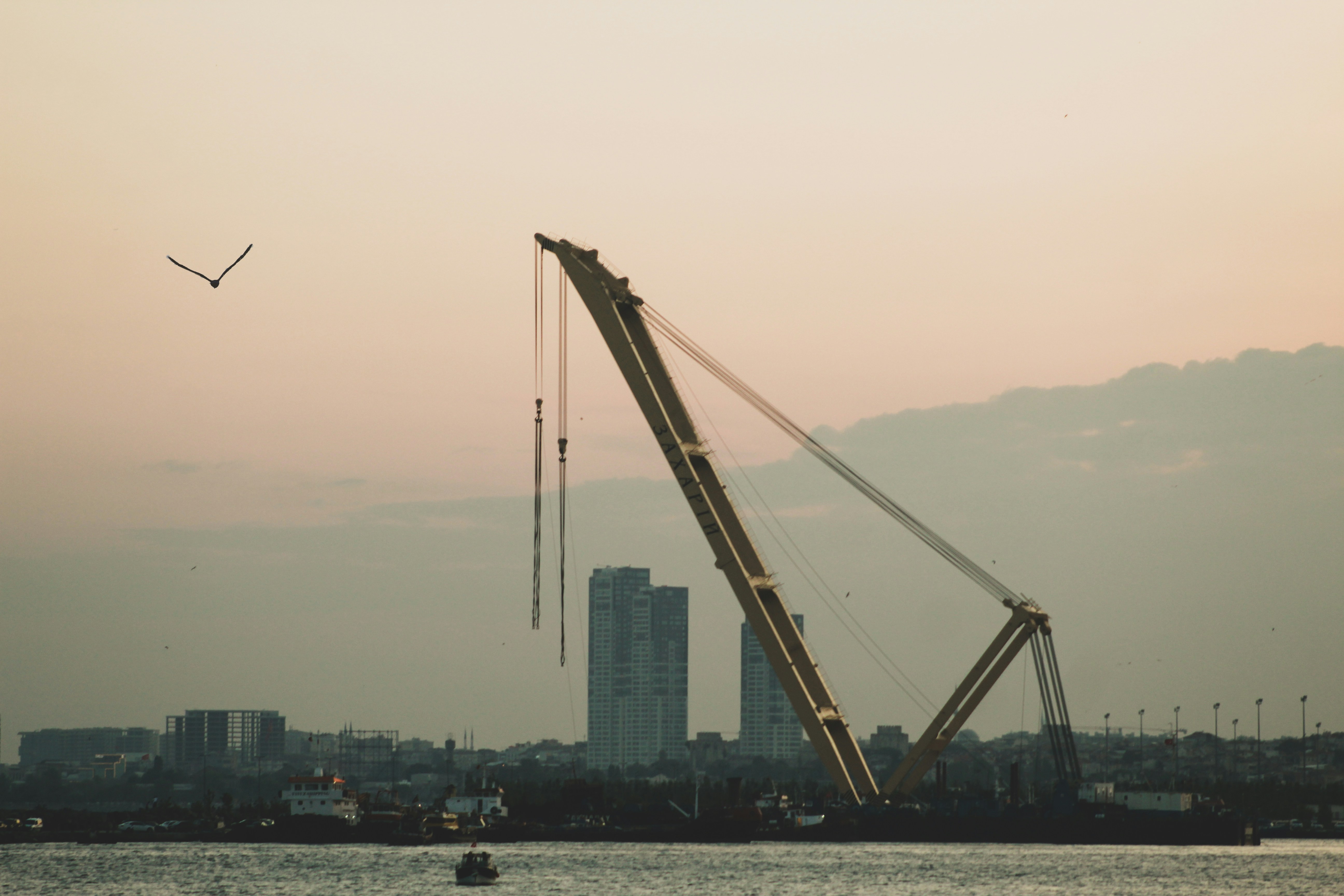 Crane at Dusk: An Arc of Steel Against a Quiet Harbor Sky
