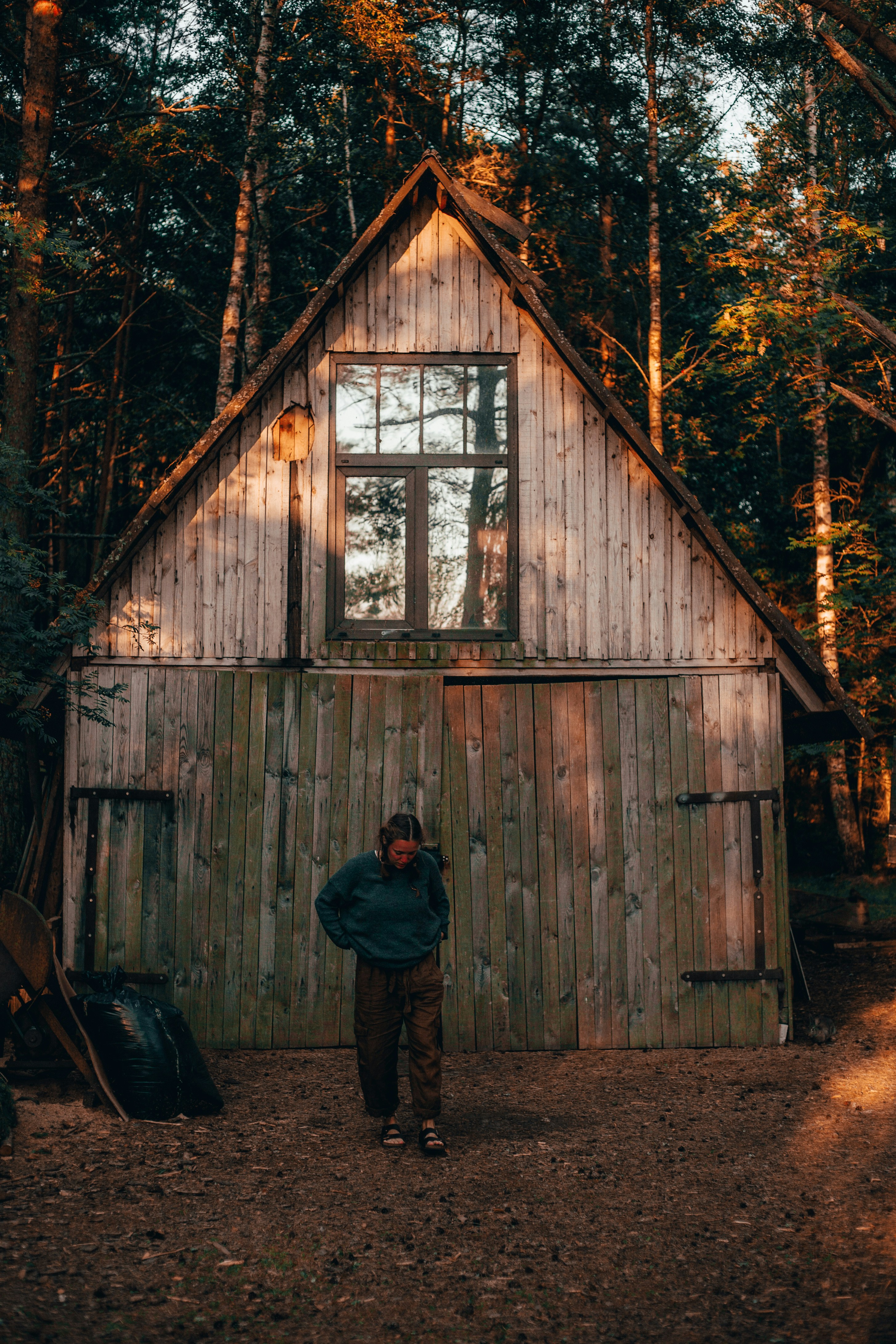 Sunlit Cabin Verge: A Quiet Portrait by the Forest