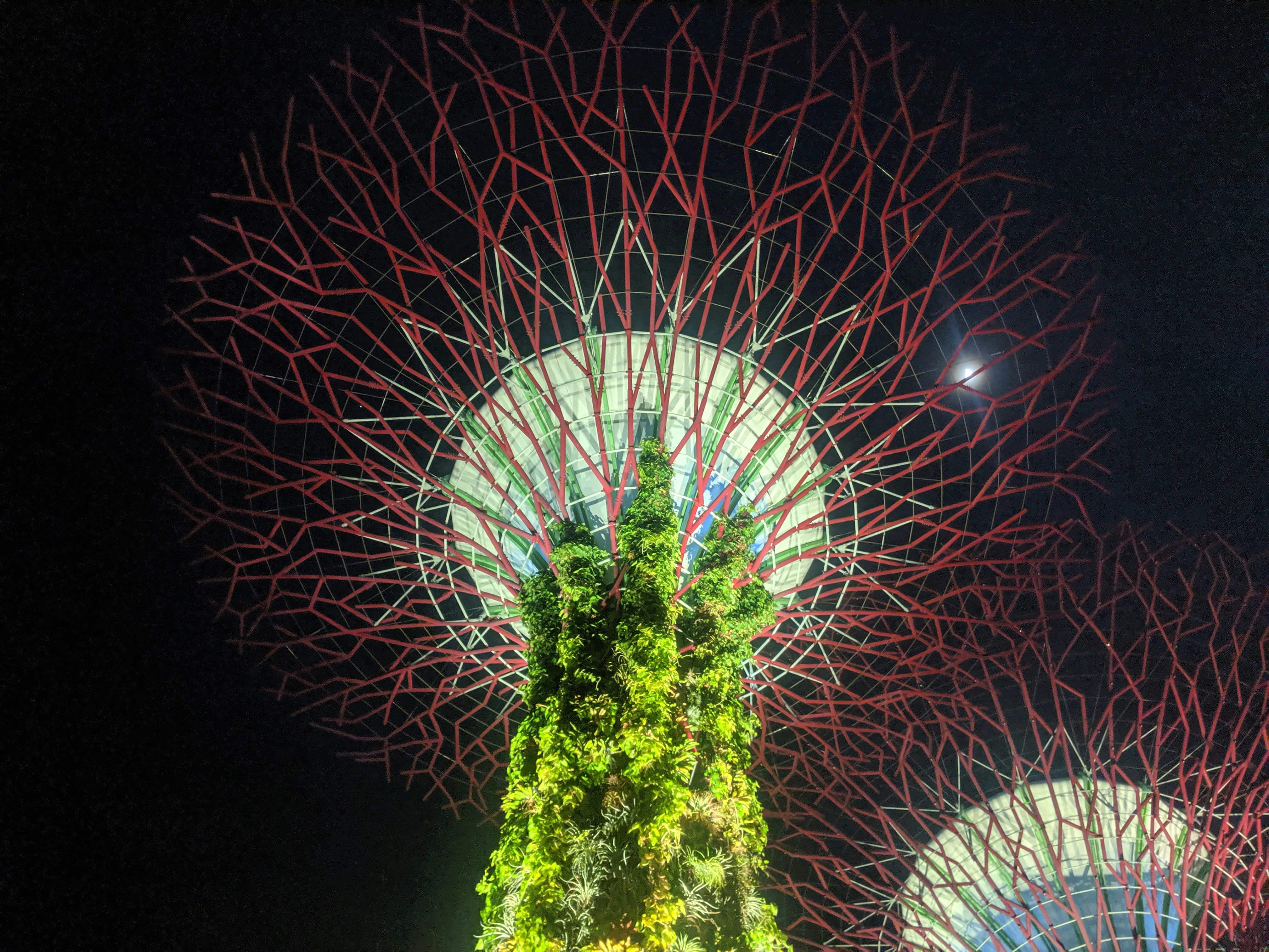 Illuminated Supertree Canopy: Night Bloom of Neon Branches