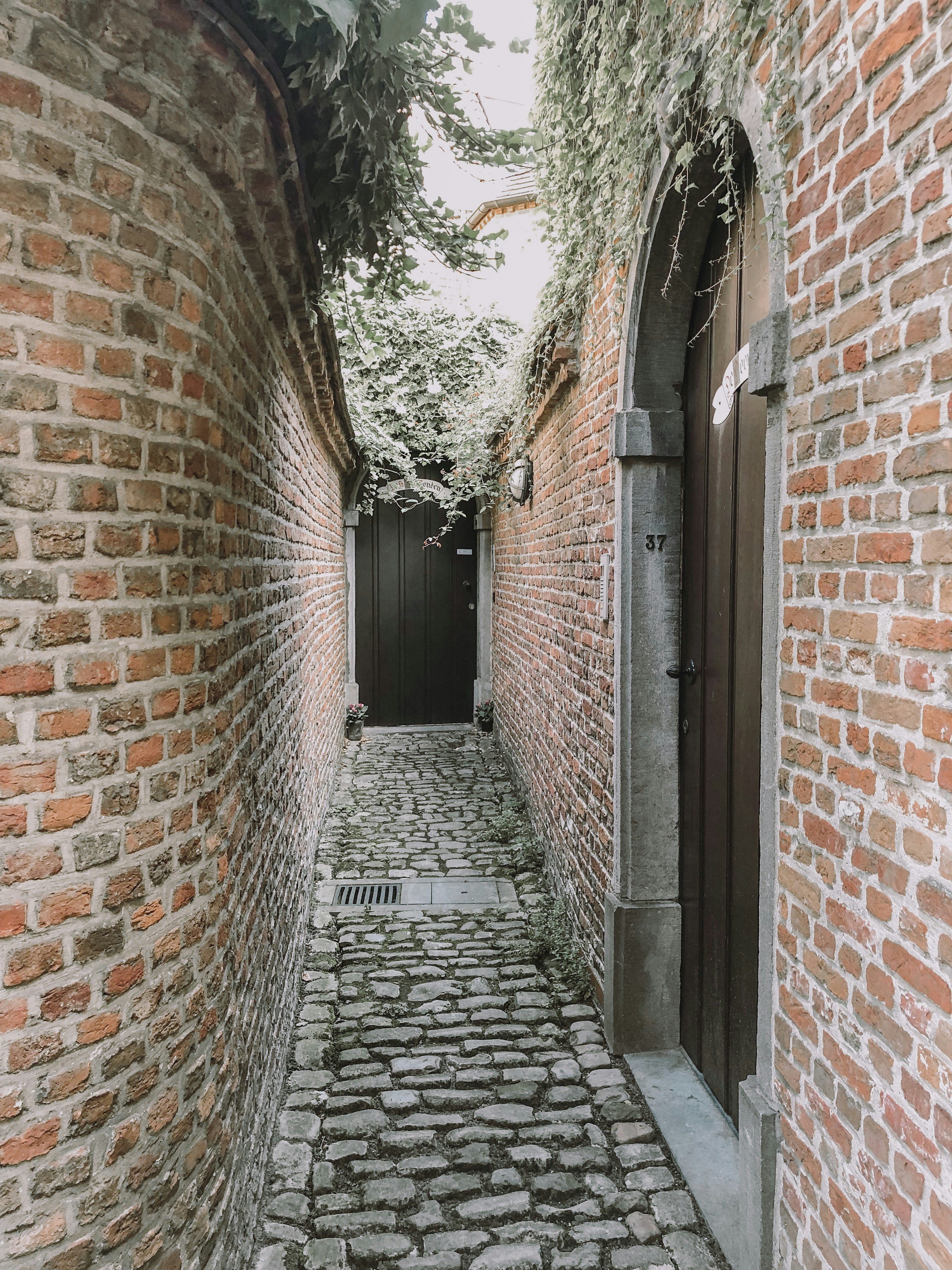 End of the Brick Alley: Ivy-Crowned Walls Lead to a Dark Door
