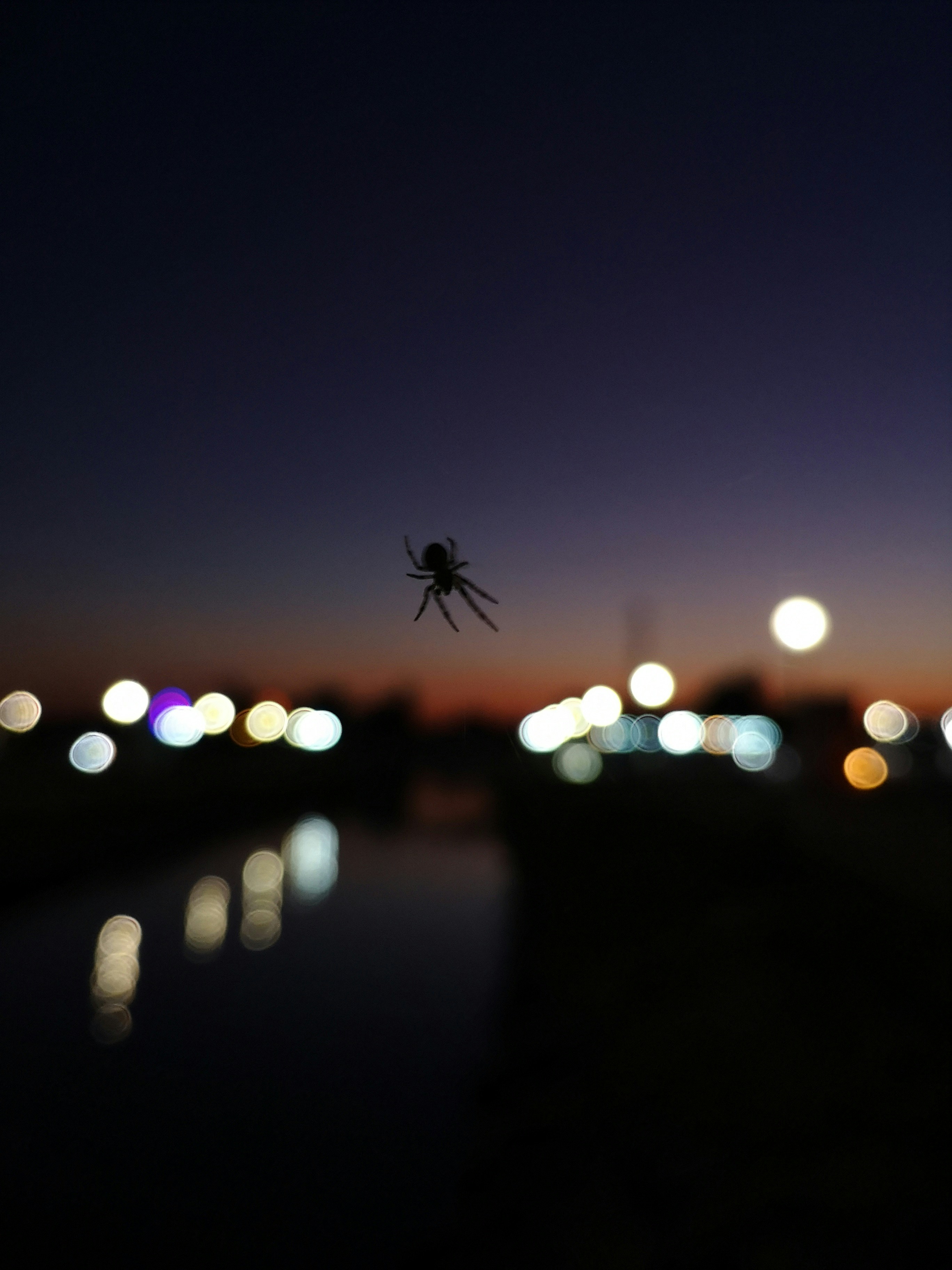 Spider in the Dusk: a lone silhouette over a bokeh-lit waterfront