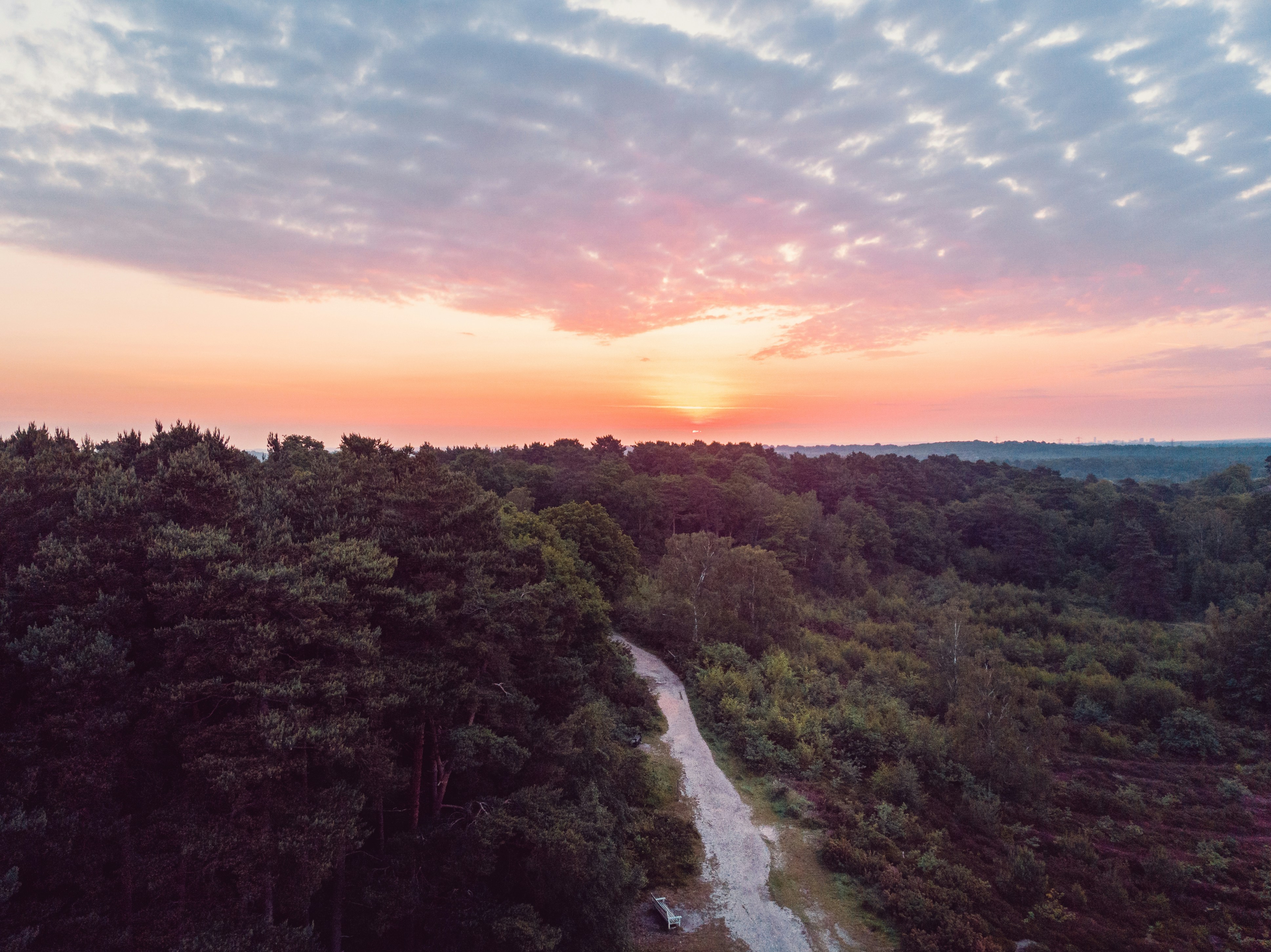 Whispering Trail at Sunset Over a Pine Forest Horizon