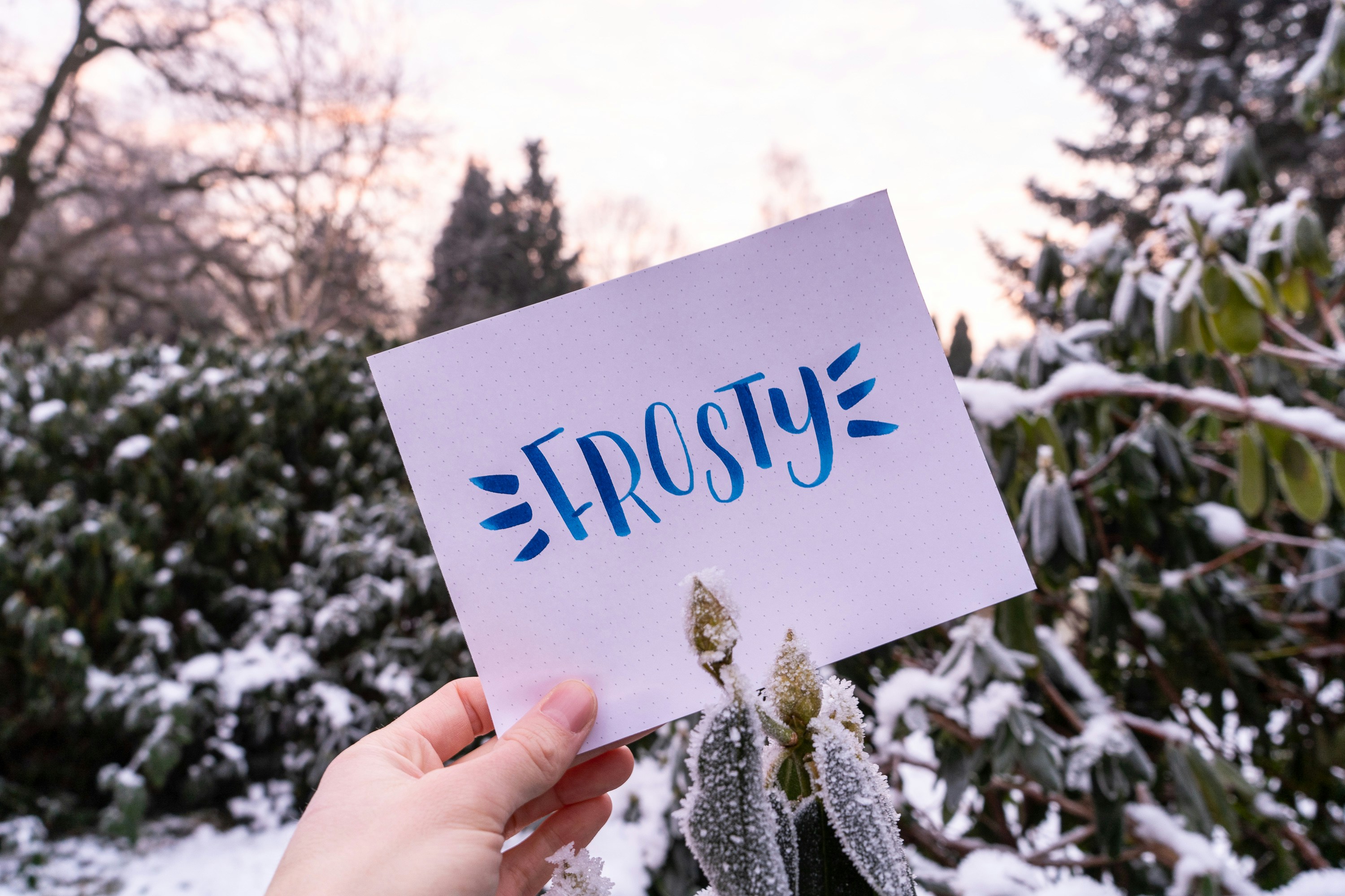 Winter Signage: Frosty Card Glows in a Snow-Dusted Garden