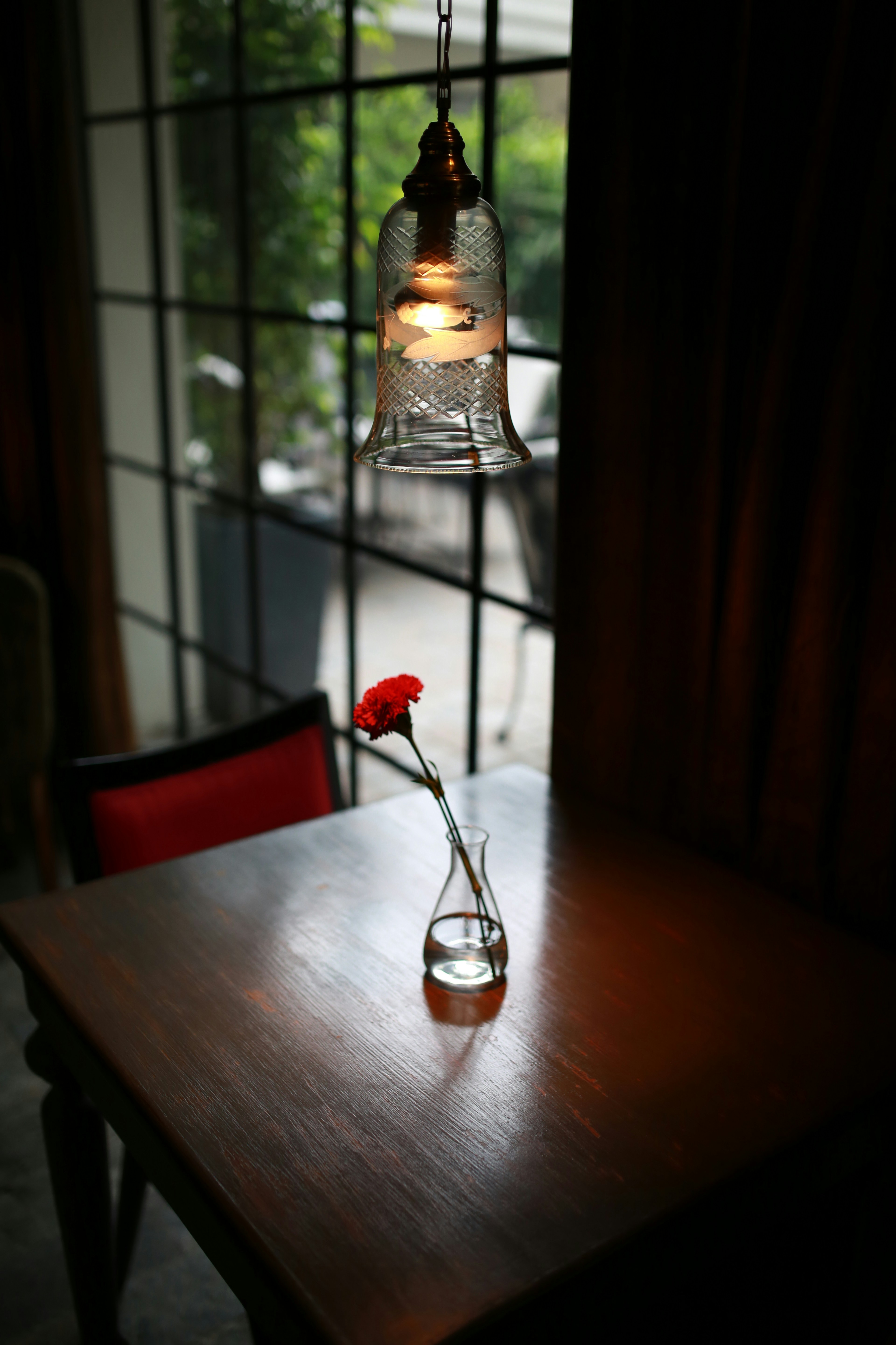 Hanging Lantern and Crimson Bloom: Still Life in Window Light