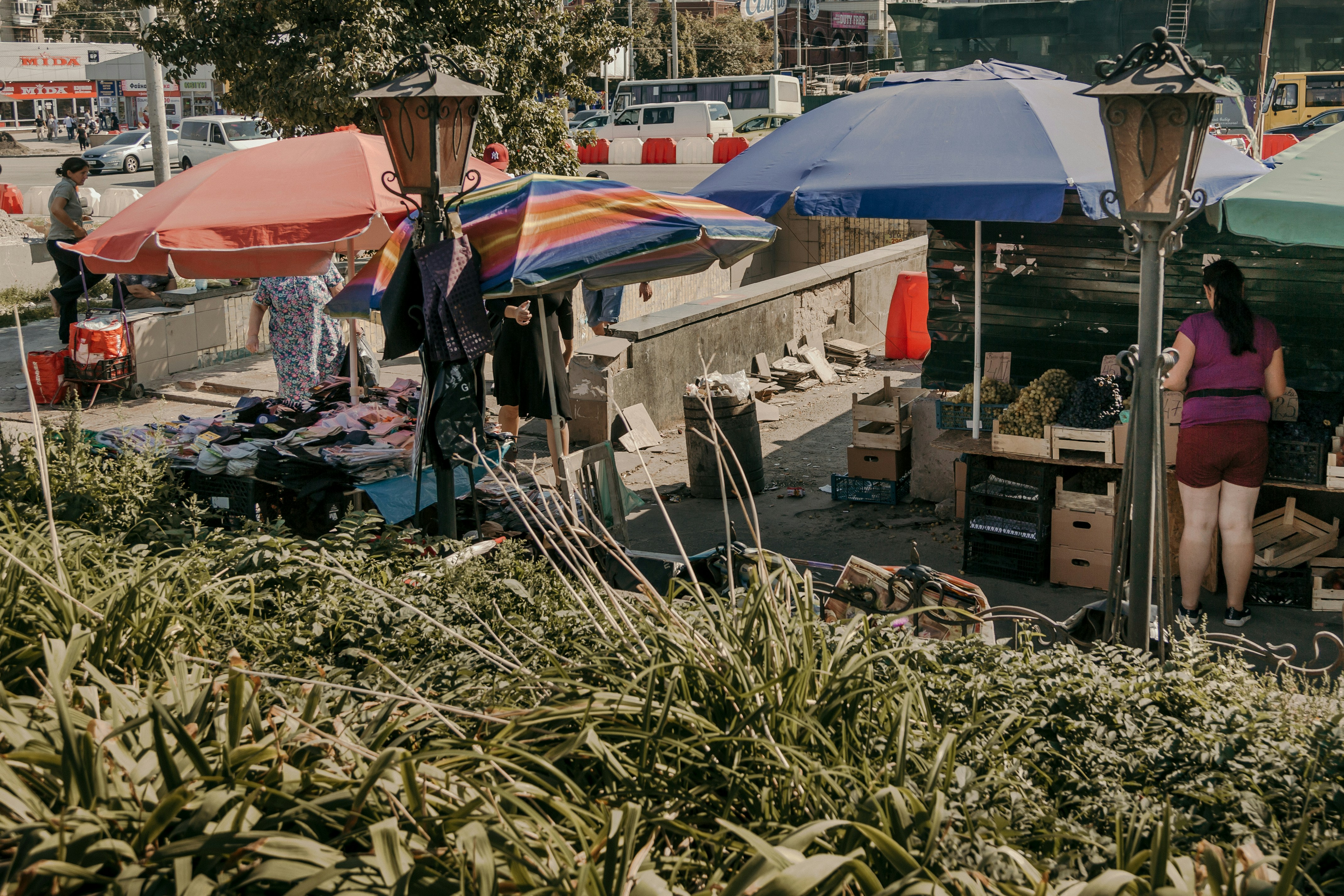 Sunlit Umbrella Row: A Busy Market Between Color and Greenery