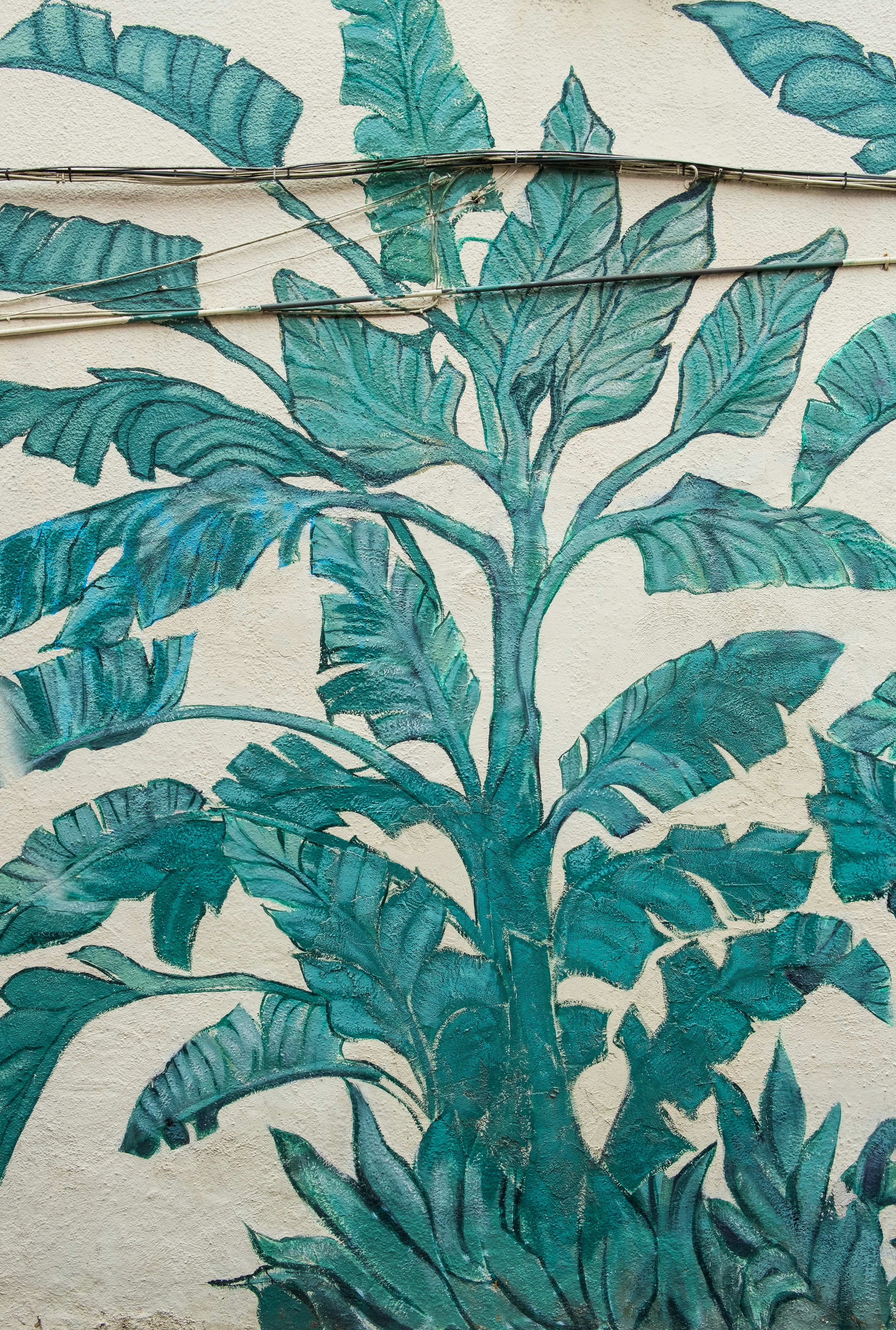 Free Art Image on Unsplash