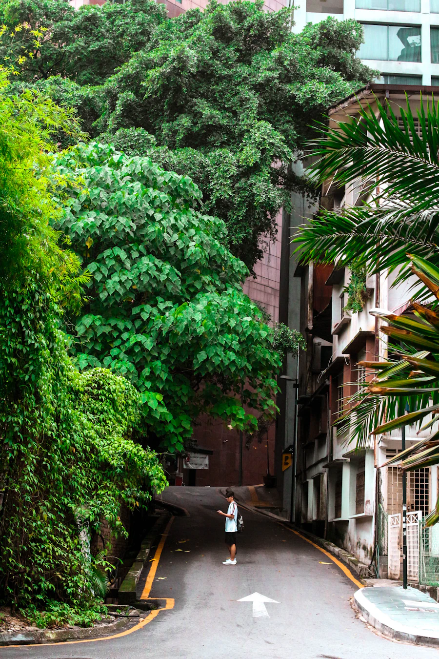 A person stands on a narrow urban road surrounded by dense green trees and tall buildings. Yellow lane markings and a white arrow lead into the shaded street.