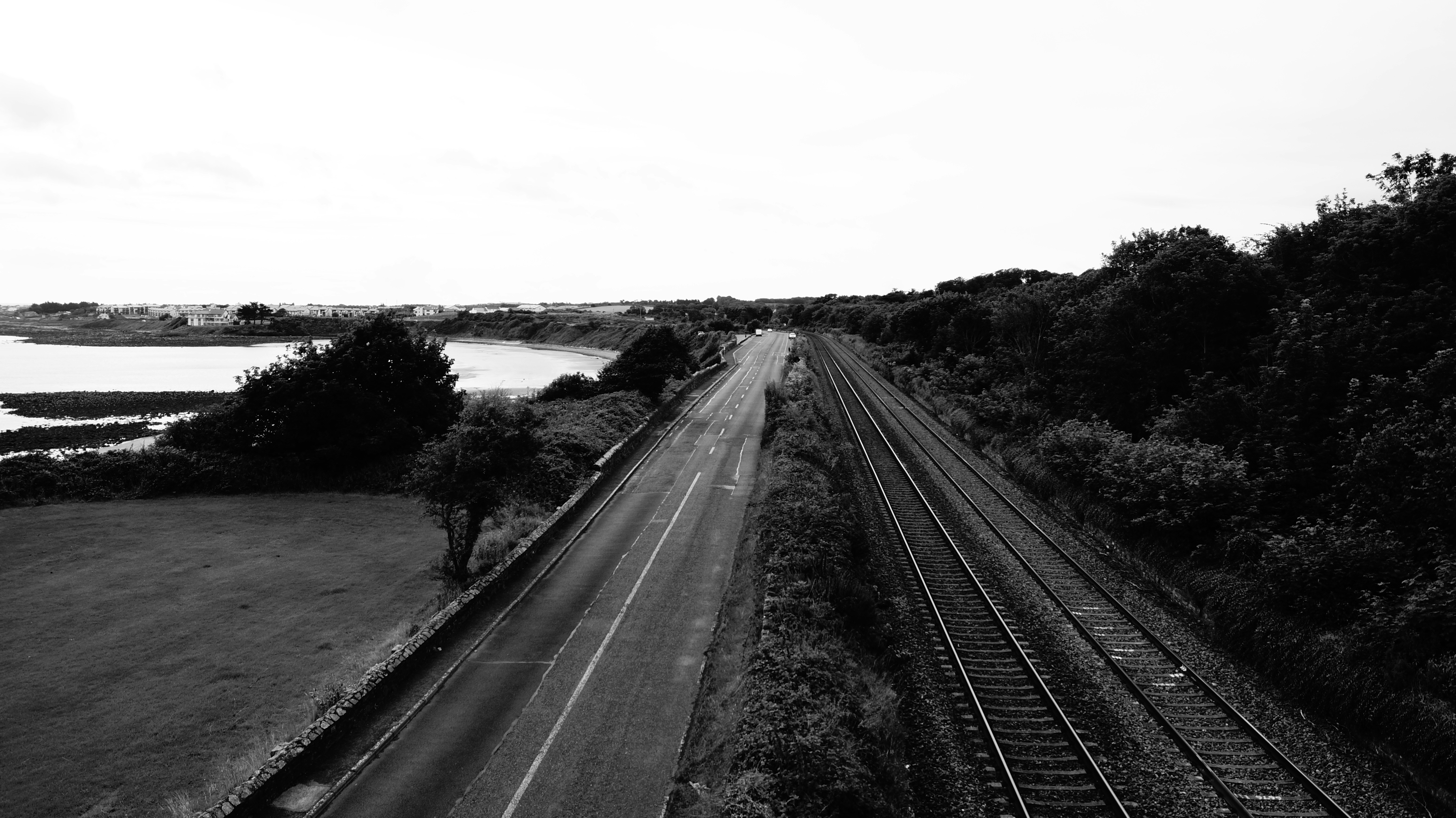 A black and white landscape showcasing a road alongside a railway track, bordered by lush greenery and a serene water body in the distance.