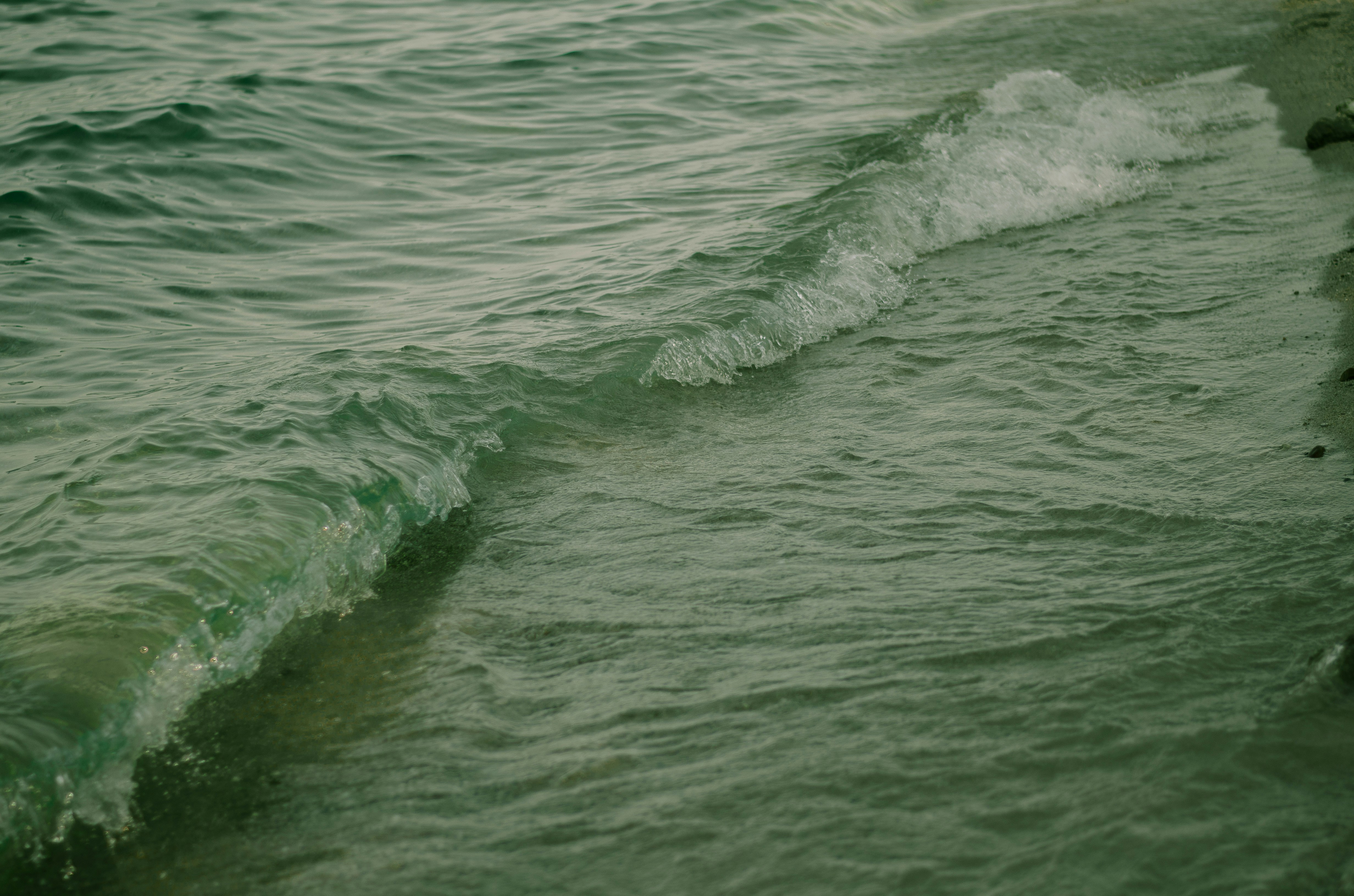Gentle waves roll onto a sandy beach under a muted sky.